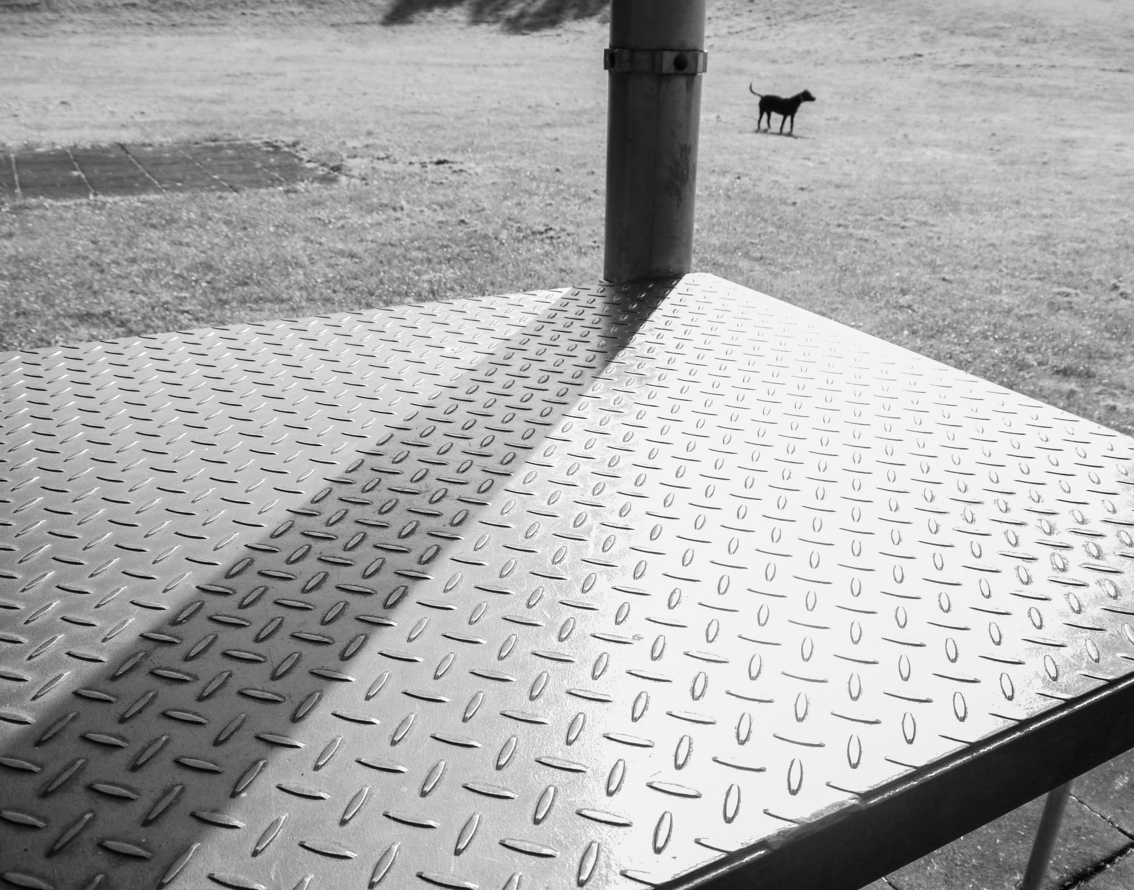 Metal Diamond Pattern Meets Open Field: A Quiet Scene with a Dog in the Distance