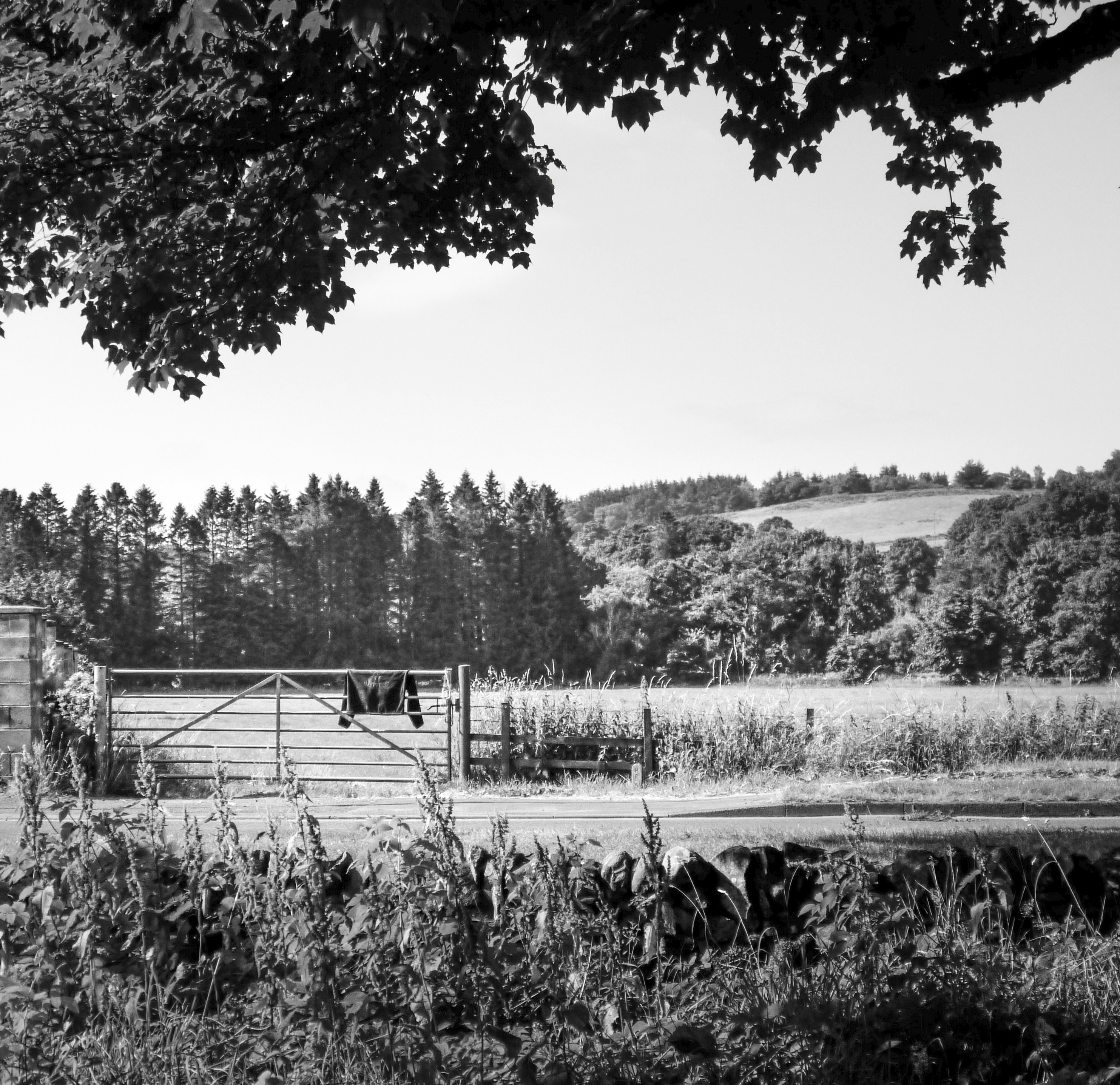 Pastoral Gatekeeper: Quiet Farm at Dusk