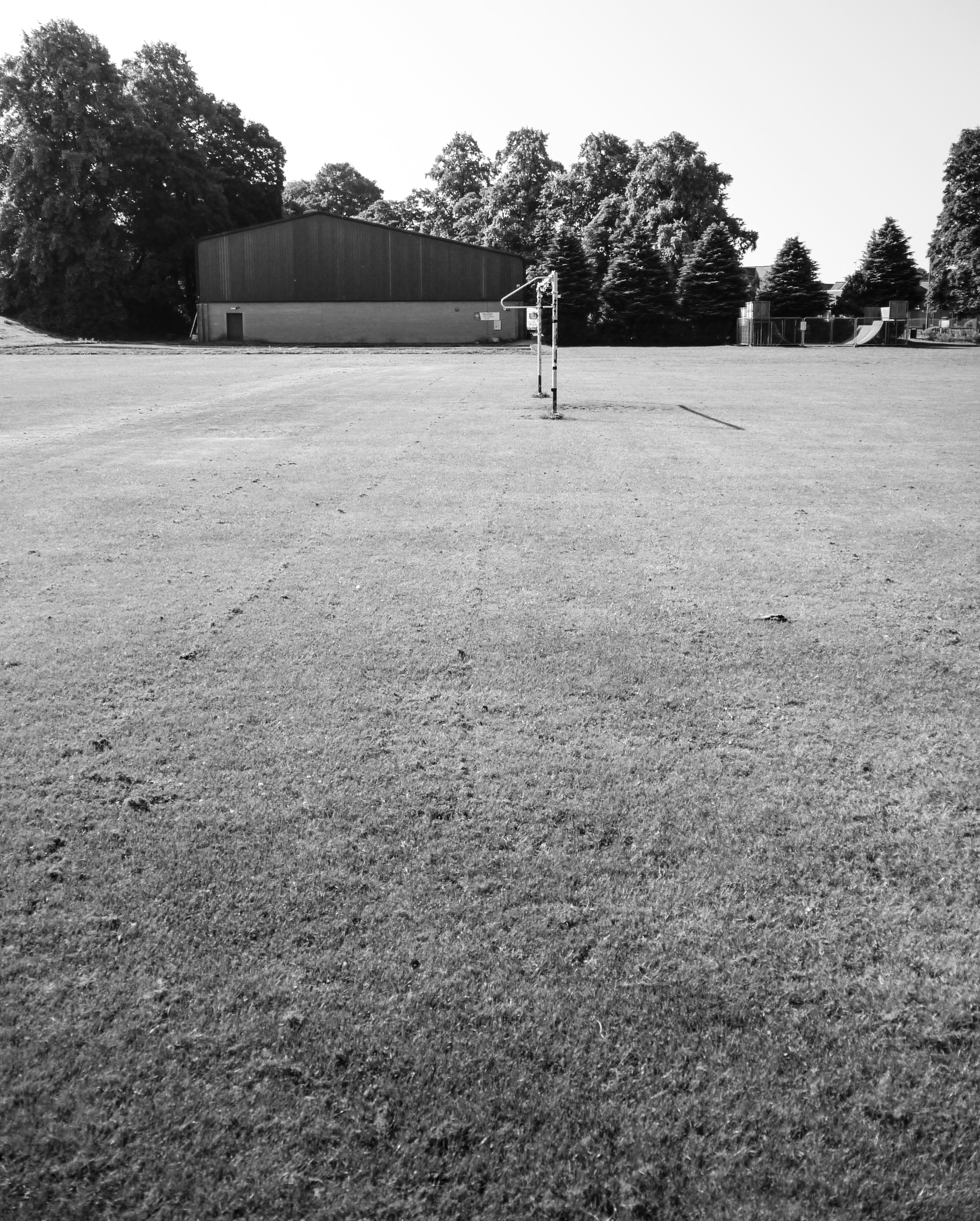 Wide black-and-white field with a solitary basketball/goal post near the center foreground and a large shed with trees behind it.