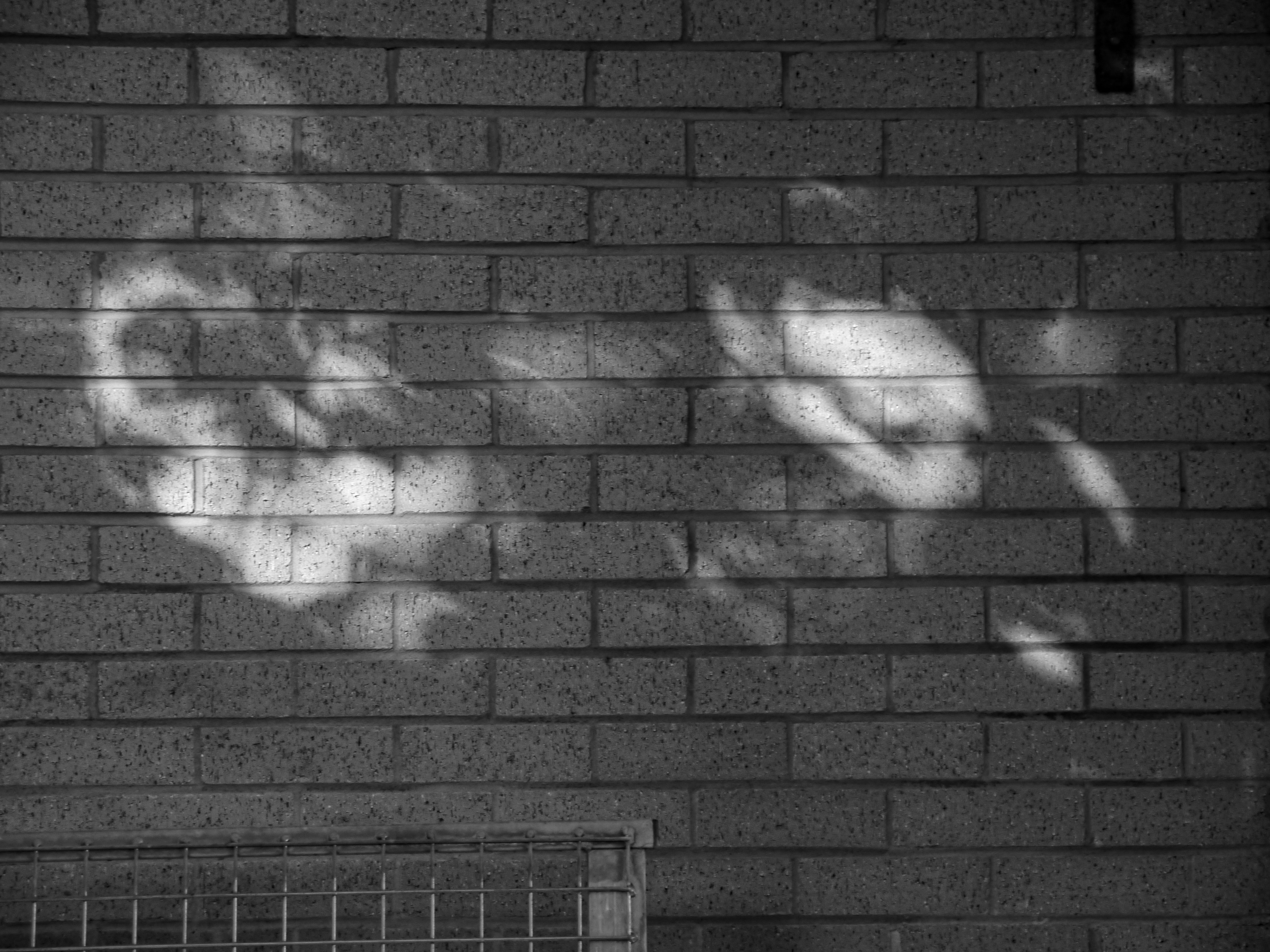 Shadows on Brick: Soft Cloudlike Projections Across the Wall