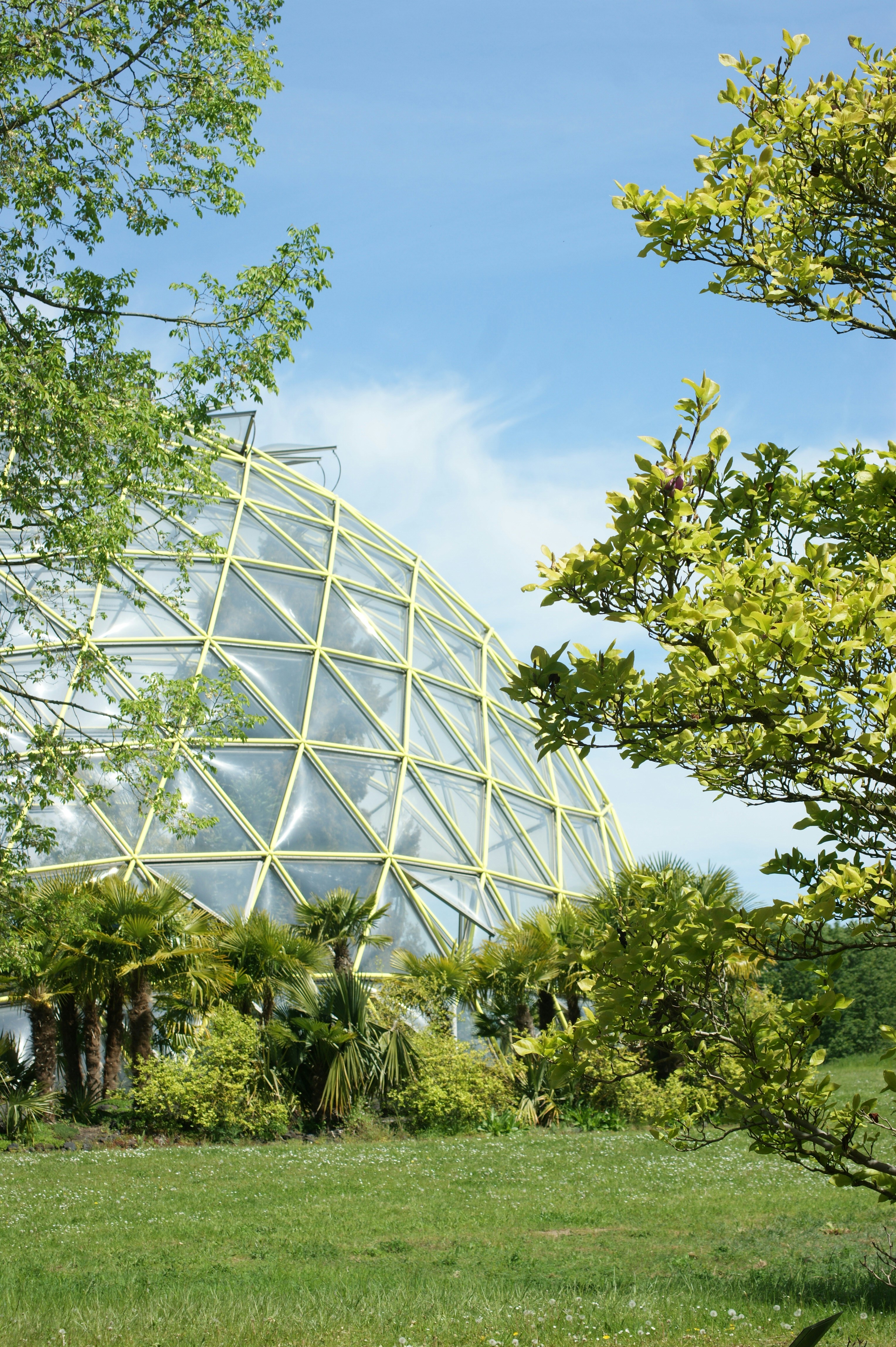 Geometric Glass Dome Rising Through a Canopy of Spring Green