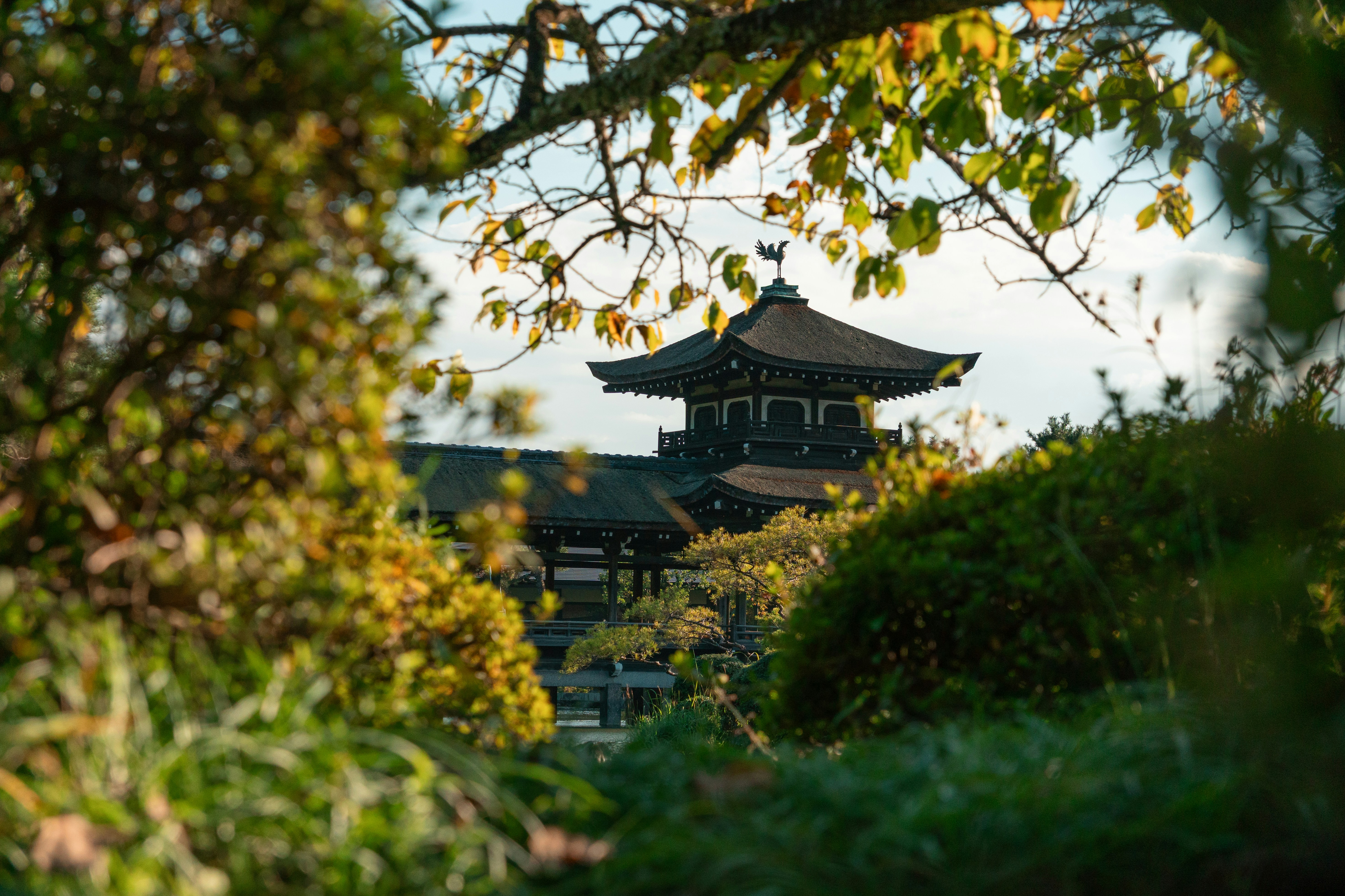 Autumn Gate: an Asian temple framed by foliage