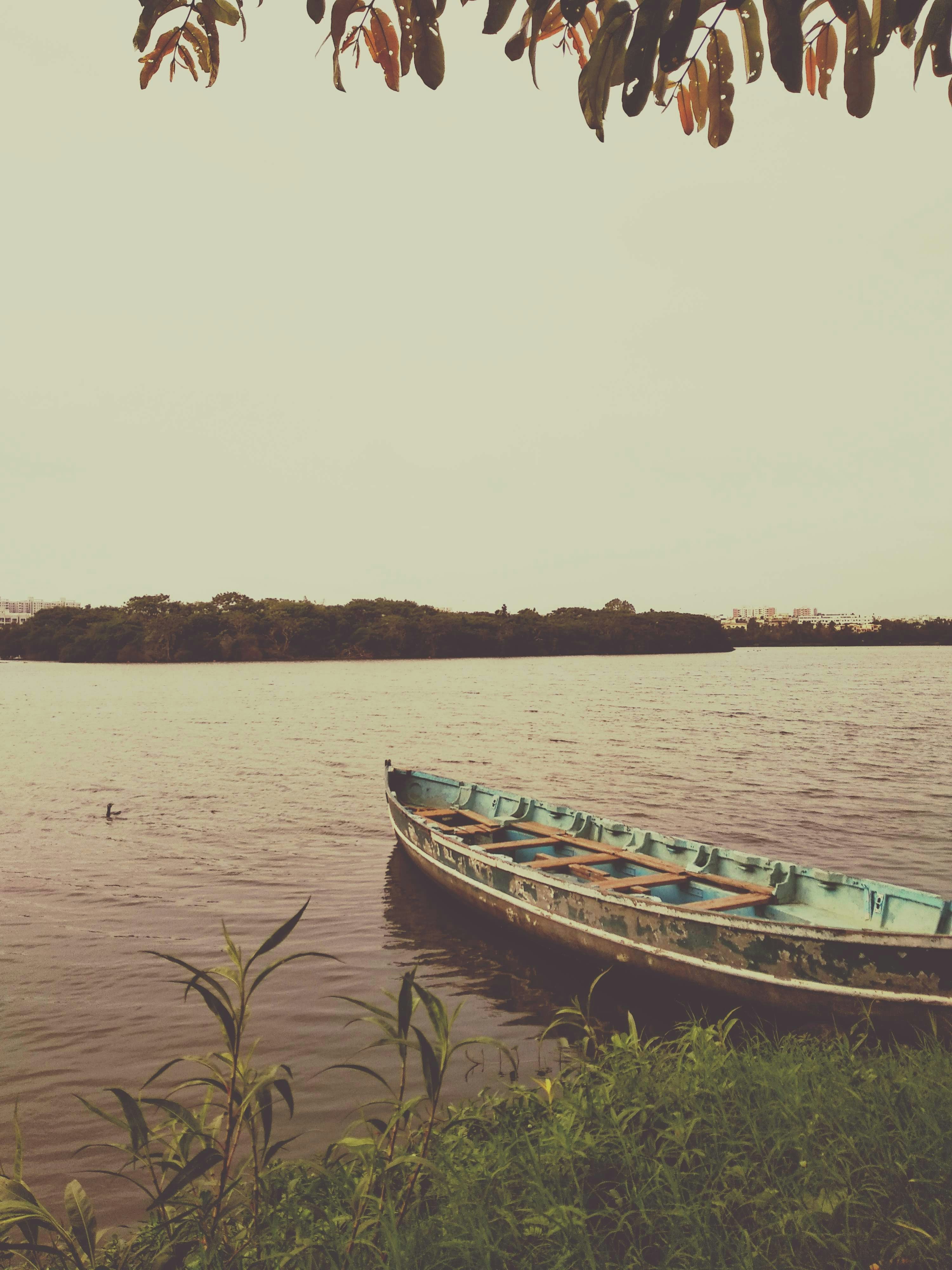 Boat at the riverbank with vegetation in foreground and calm water; warm-toned scene.