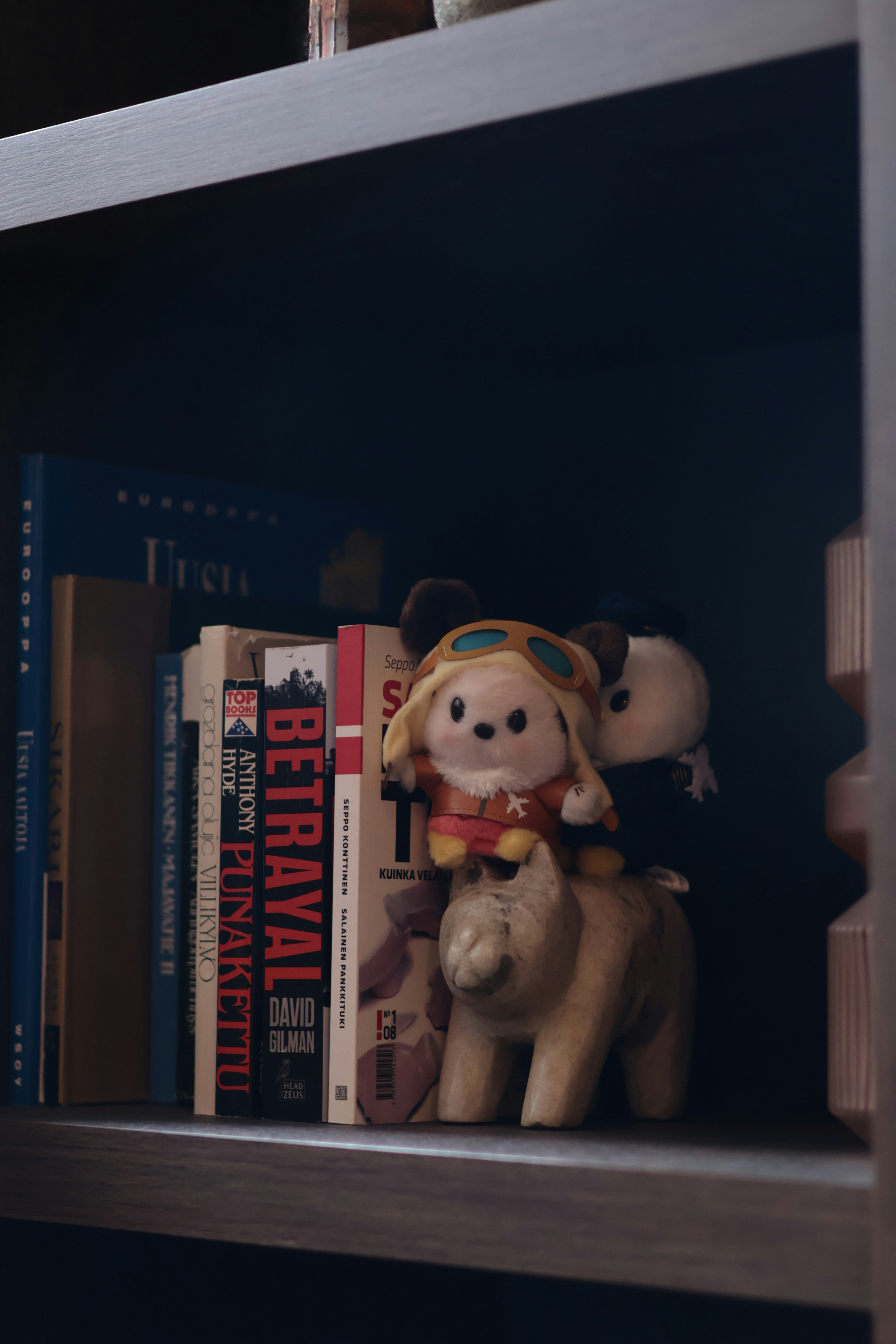 Cozy Shelf Guardians: Plush Friends Watch Over the Books