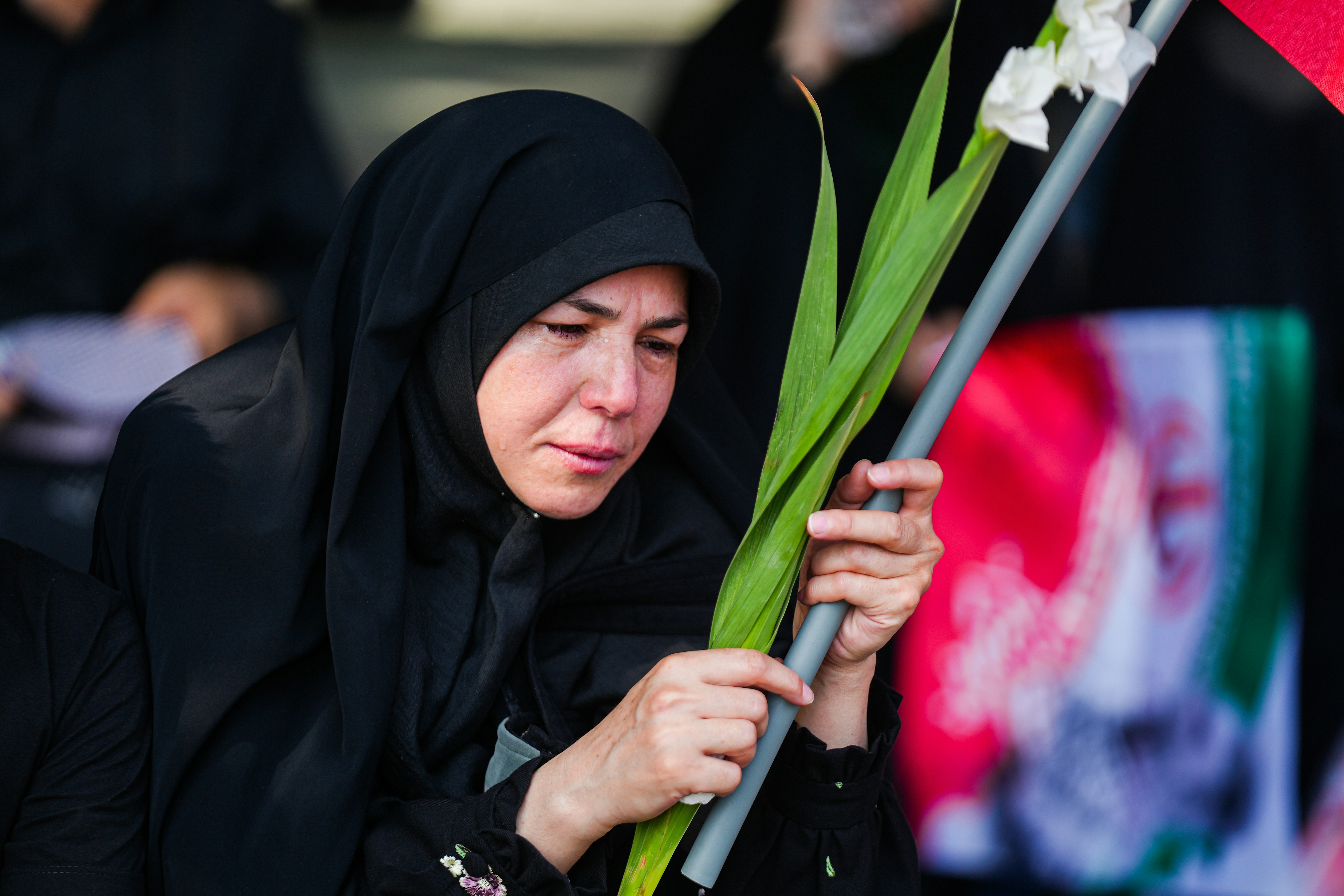Veiled Resolve: A Quiet Moment with a Symbolic Lily