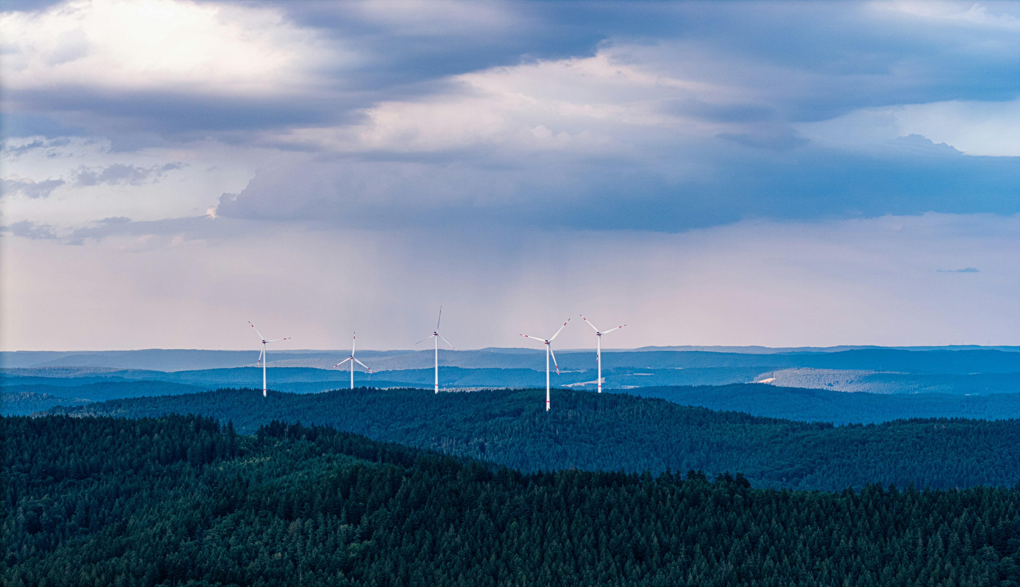 Whispers of Wind: Wind Turbines Rise Above a Verdant Canopy
