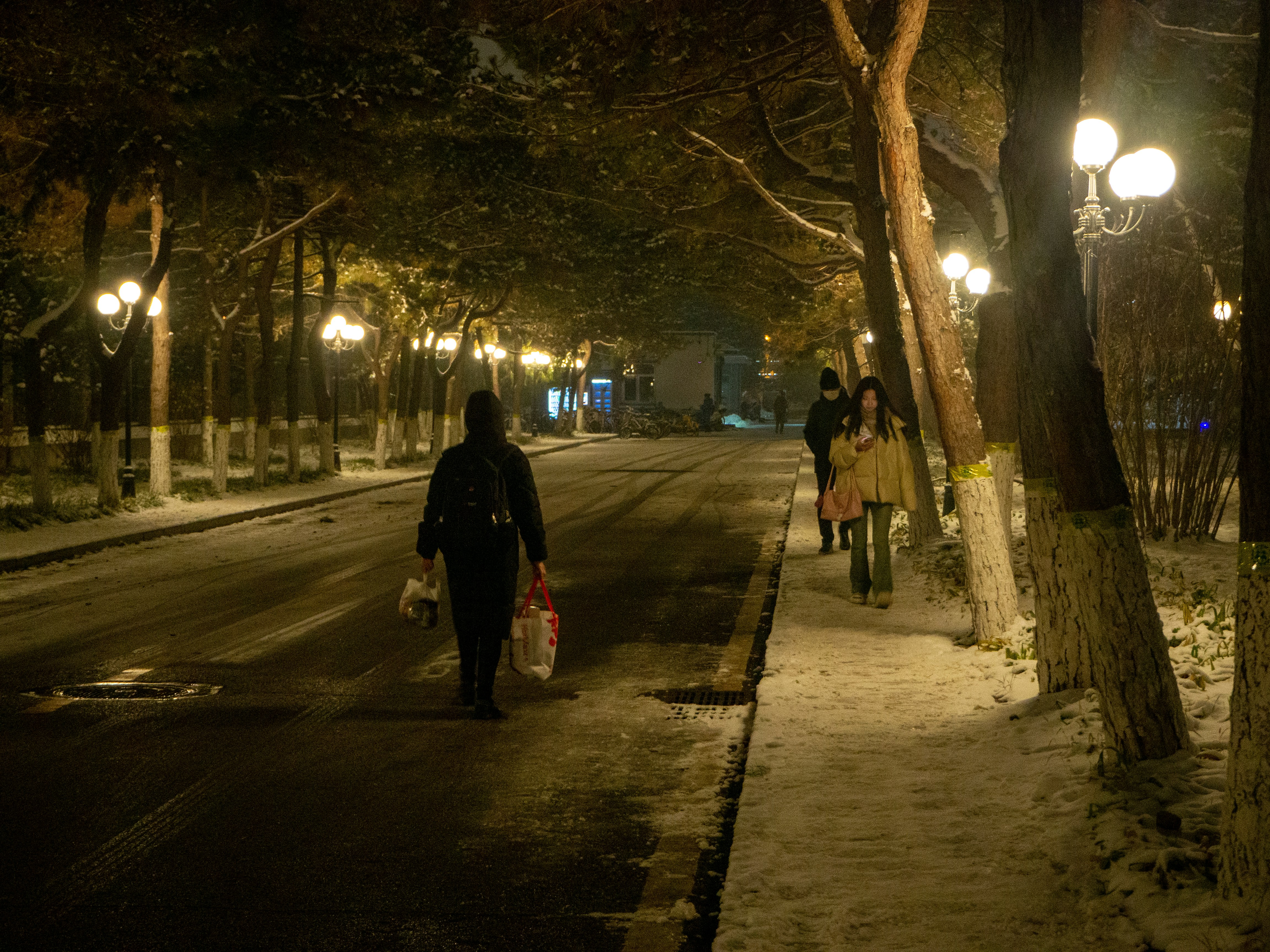 Midnight Stroll Under Lantern Light
