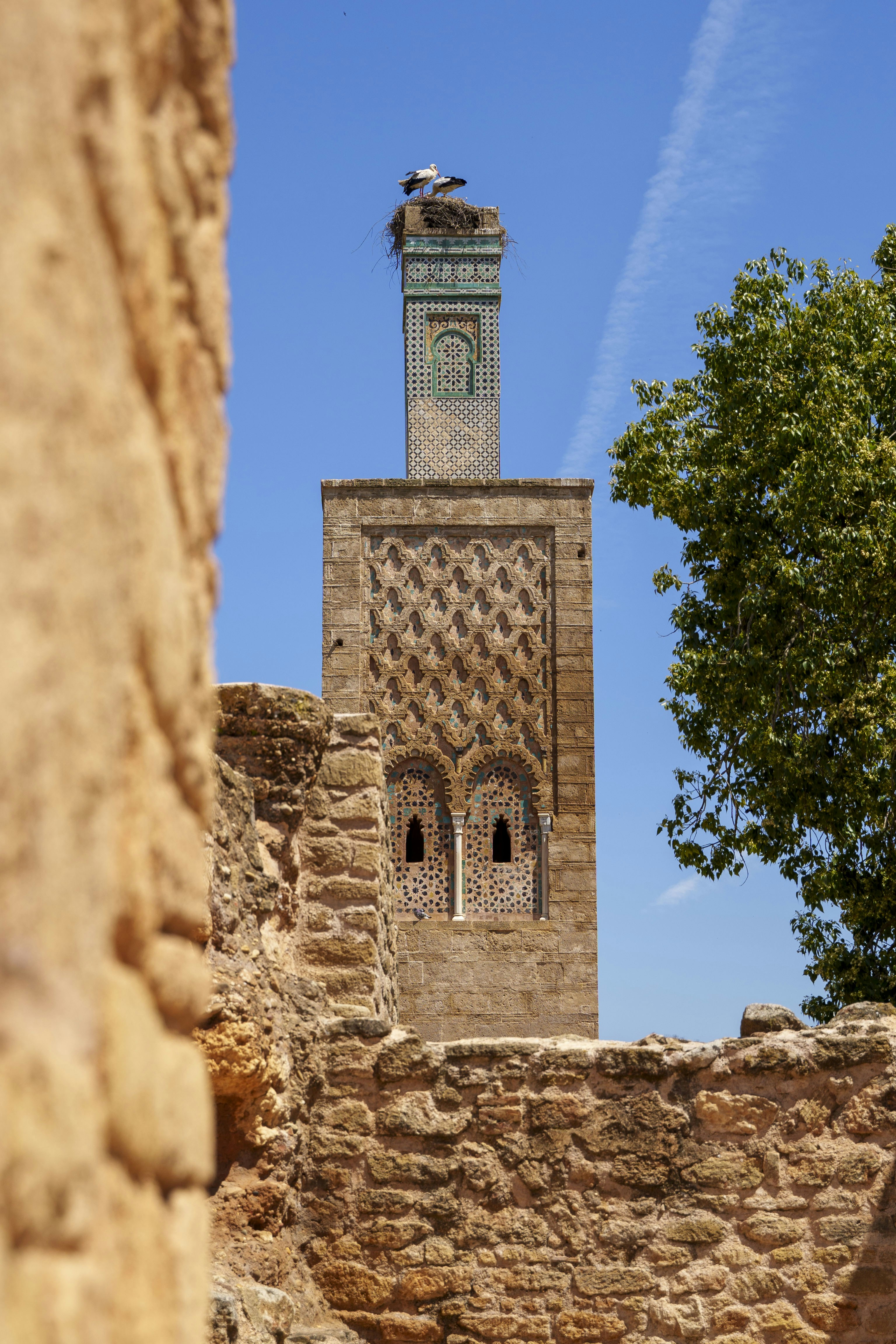 Minaret Rising Above Ancient Walls in Clear Blue