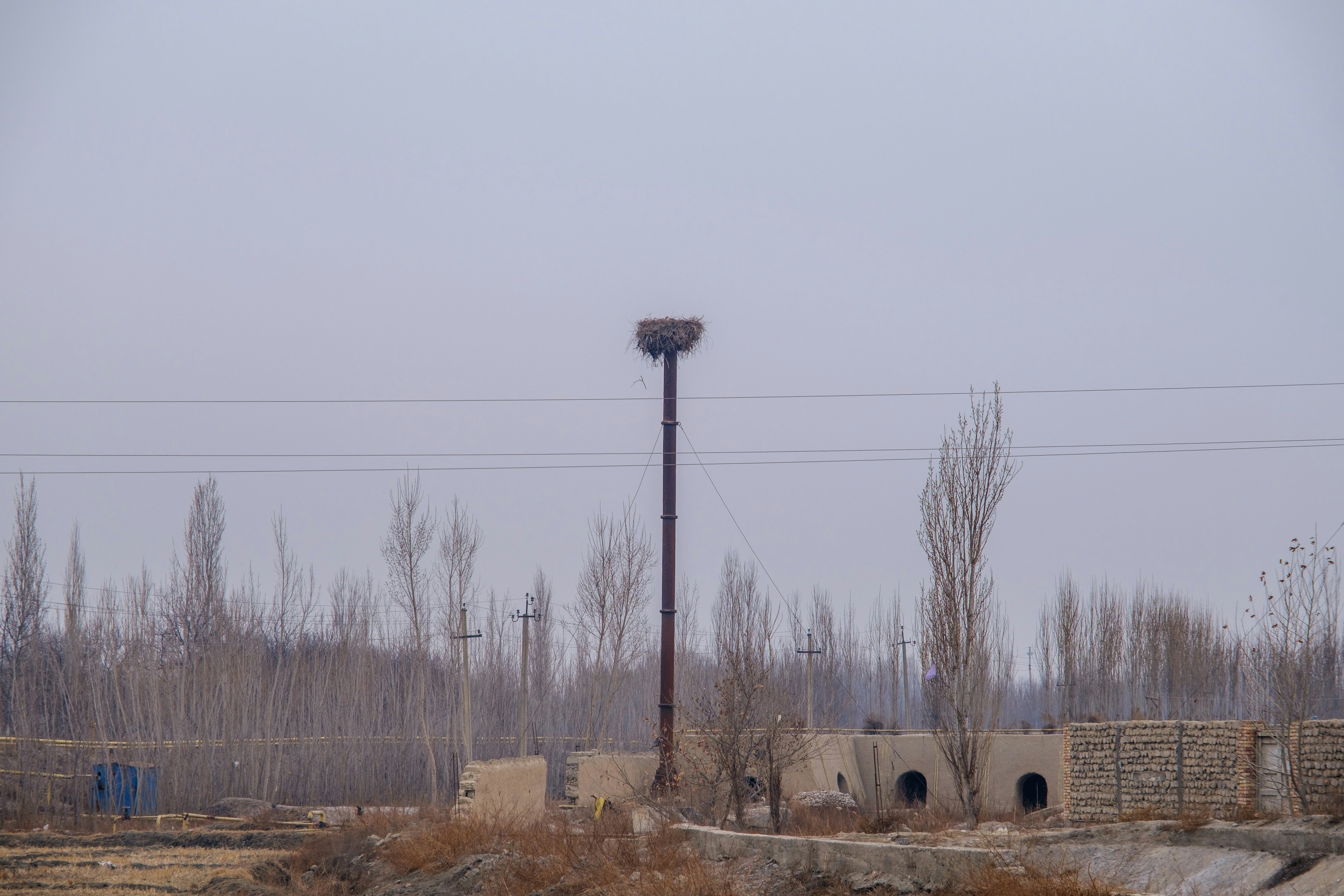 A solitary nest atop a weathered mast over a barren landscape