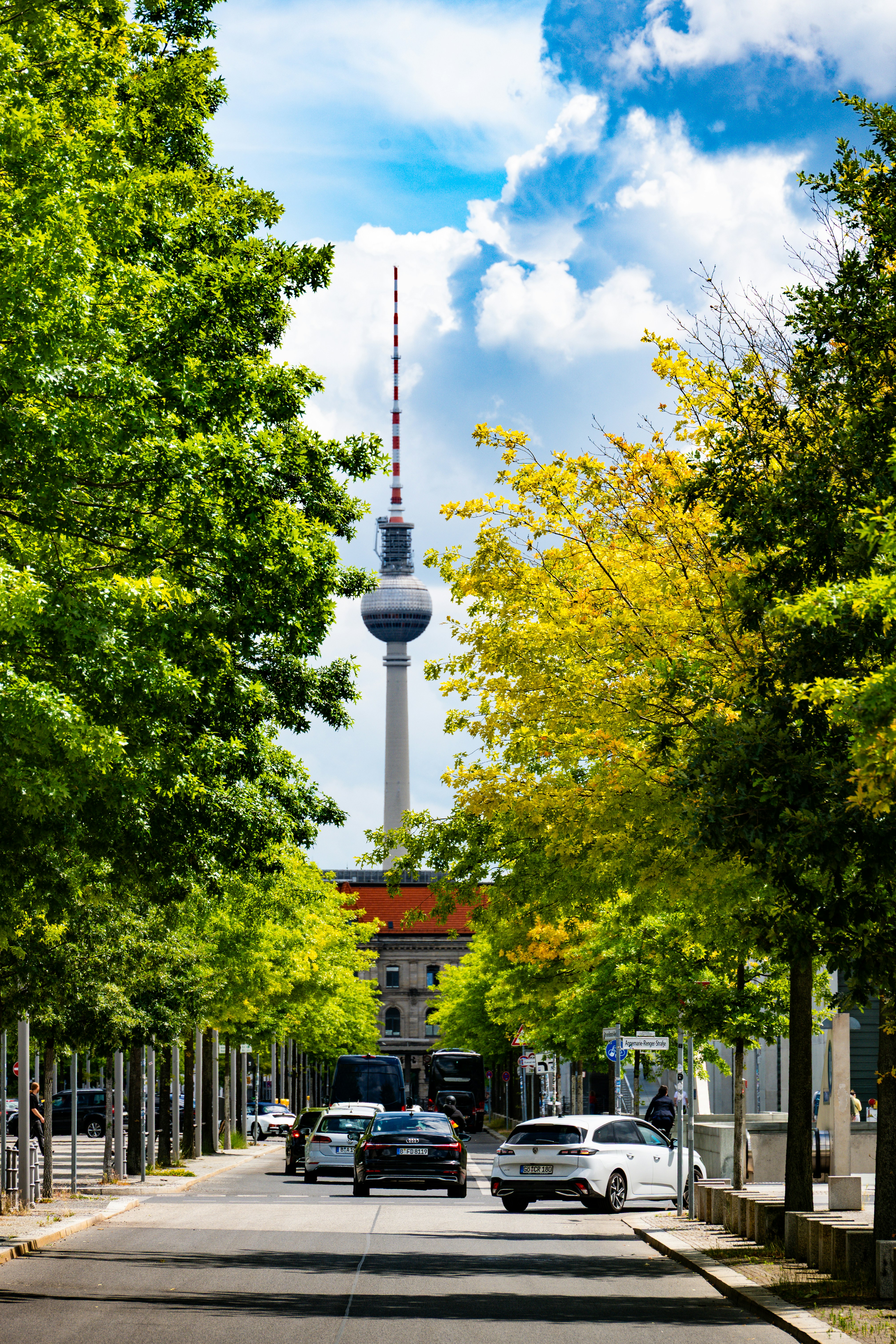 Urban Avenue Framing: Towering Skyward in a Tree-Lined Street