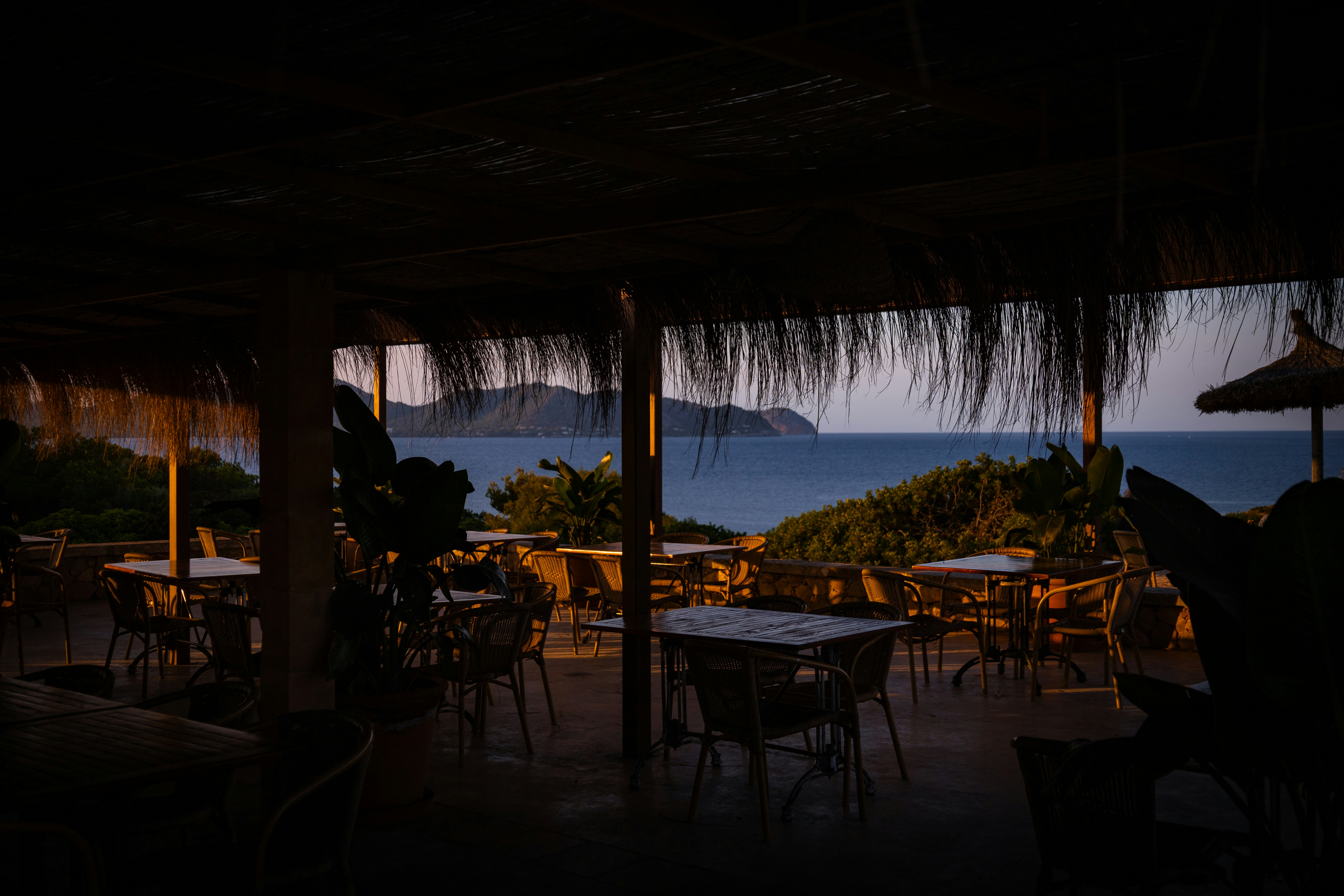 Dusk on the Terrace: Calm Ocean Hidden Beyond Shade