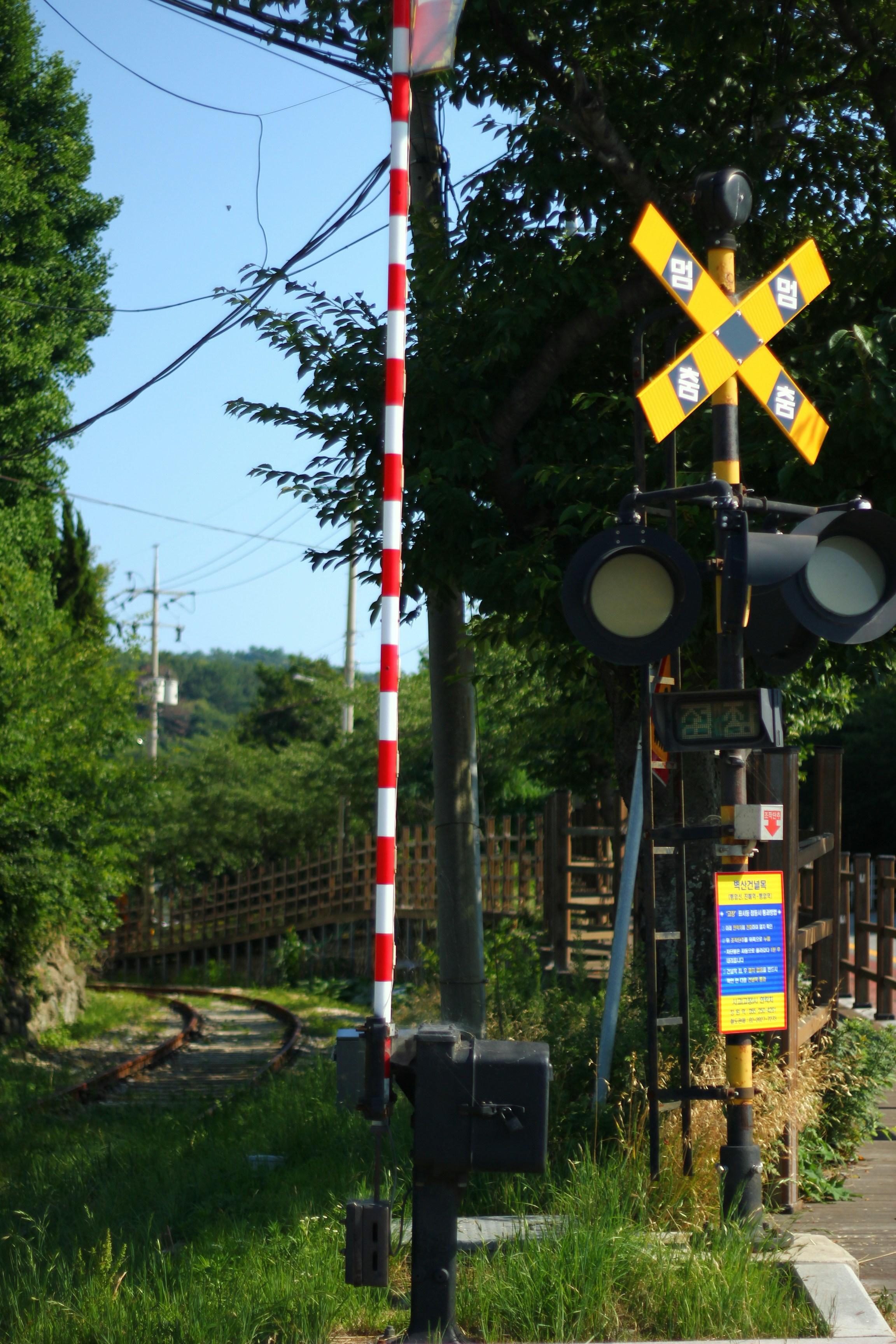 Rails at the Crossing: A Quiet Street-Level Signal by the Tracks