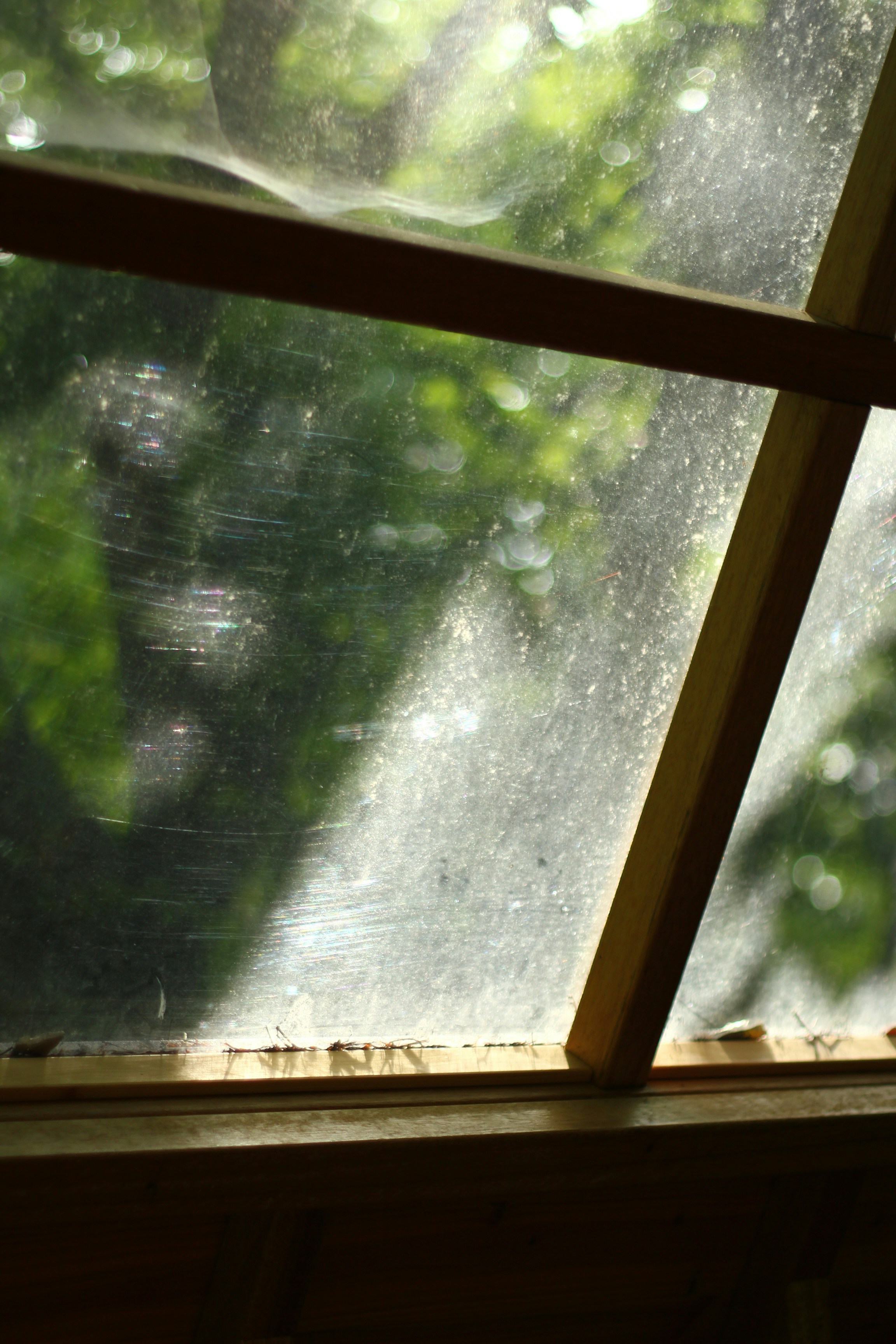 Dusty Windowpane: Afternoon Light through a Scratched Pane