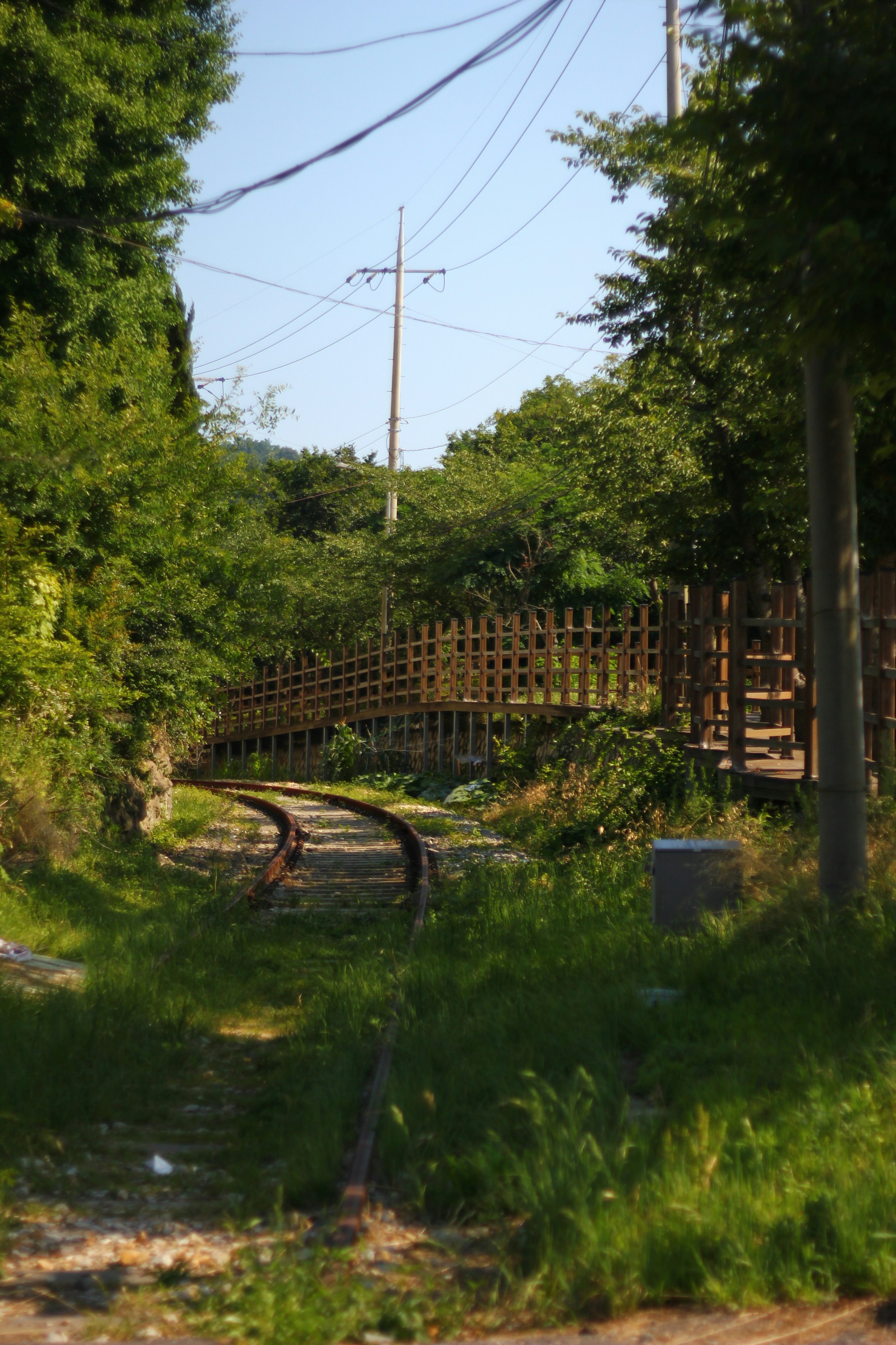 Rails through the Quiet Green Corridor