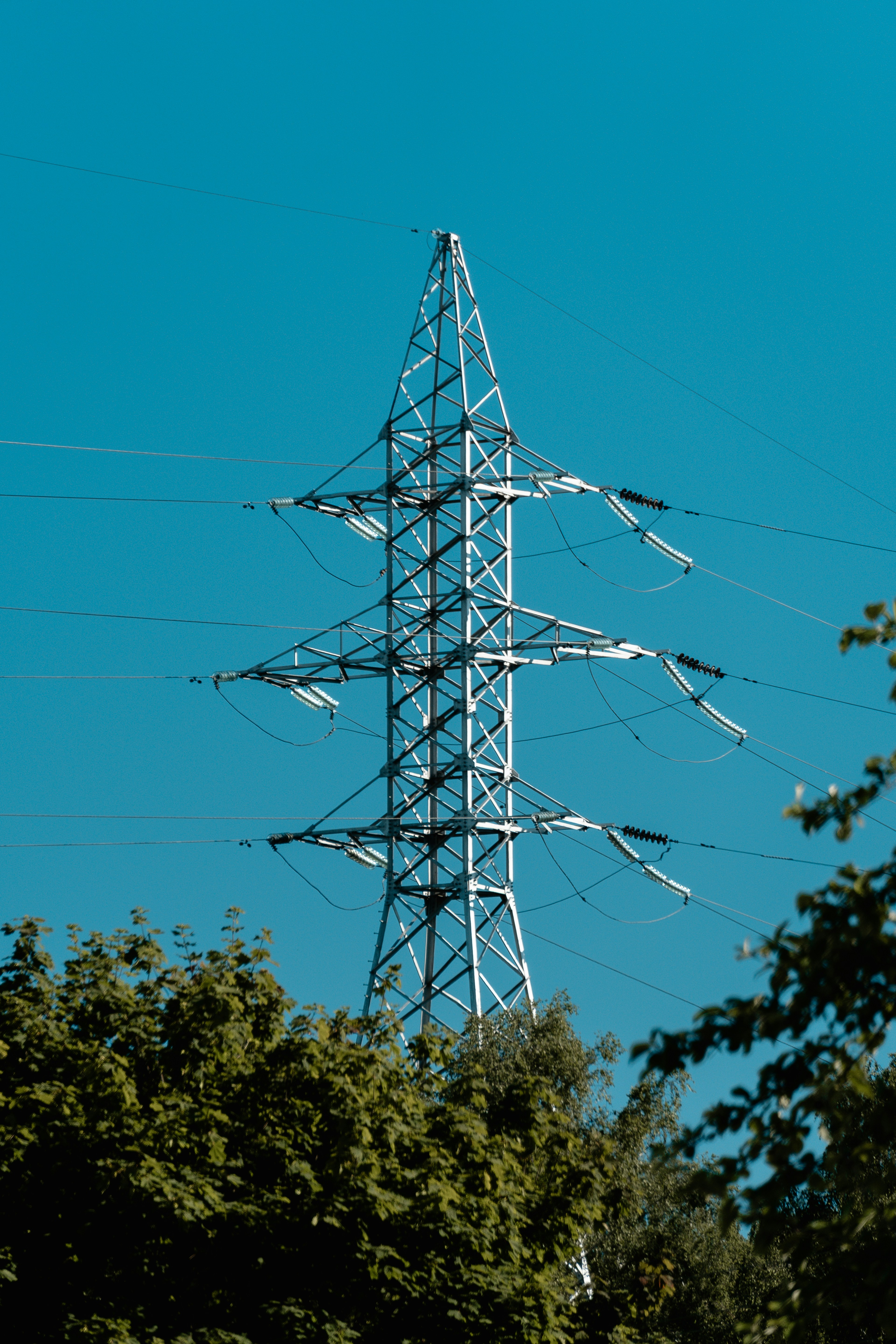 Towering Lattice Under a Clear Blue Sky