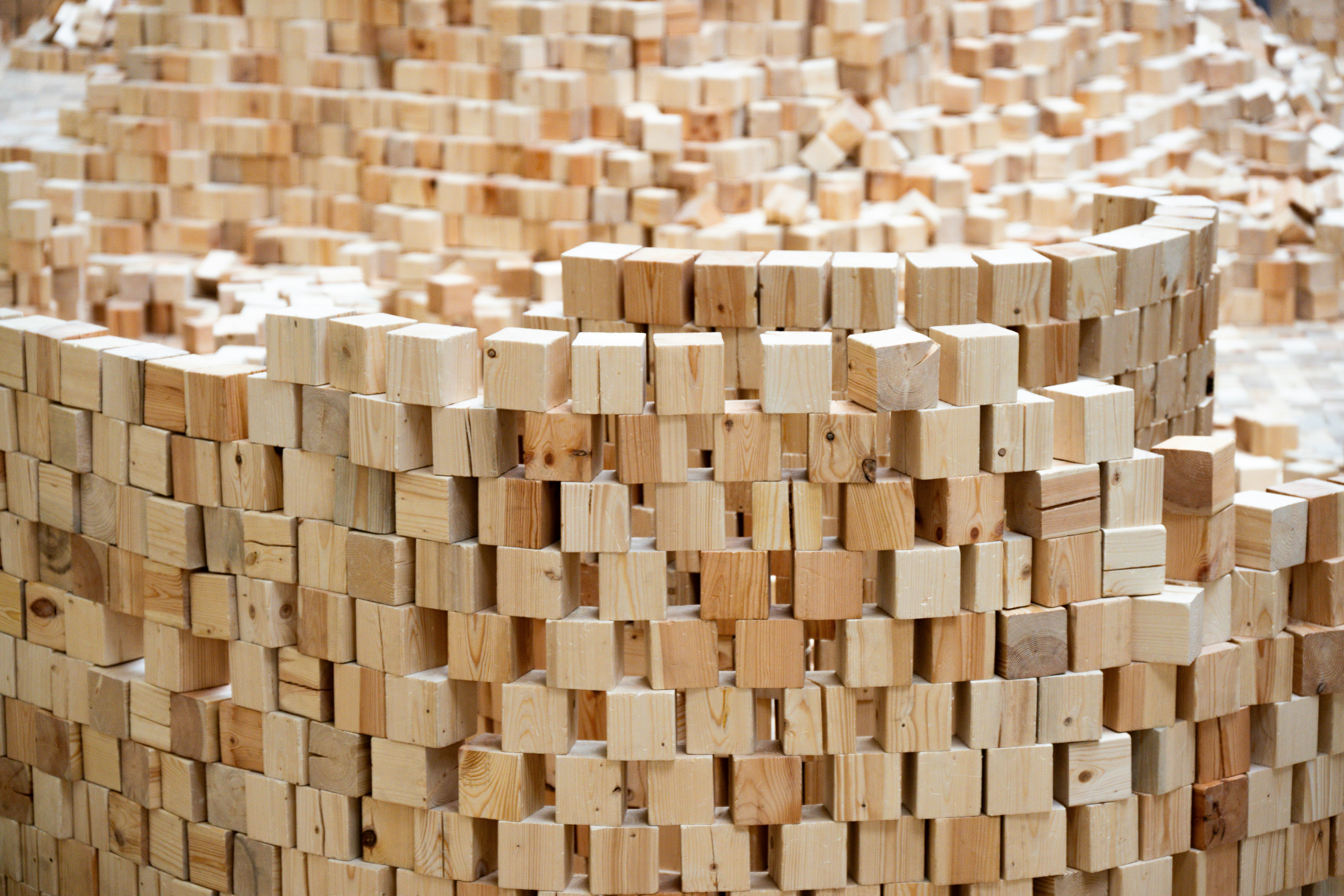 Curved Cedar: A Wave of Wooden Cubes Forming a Gentle Arc