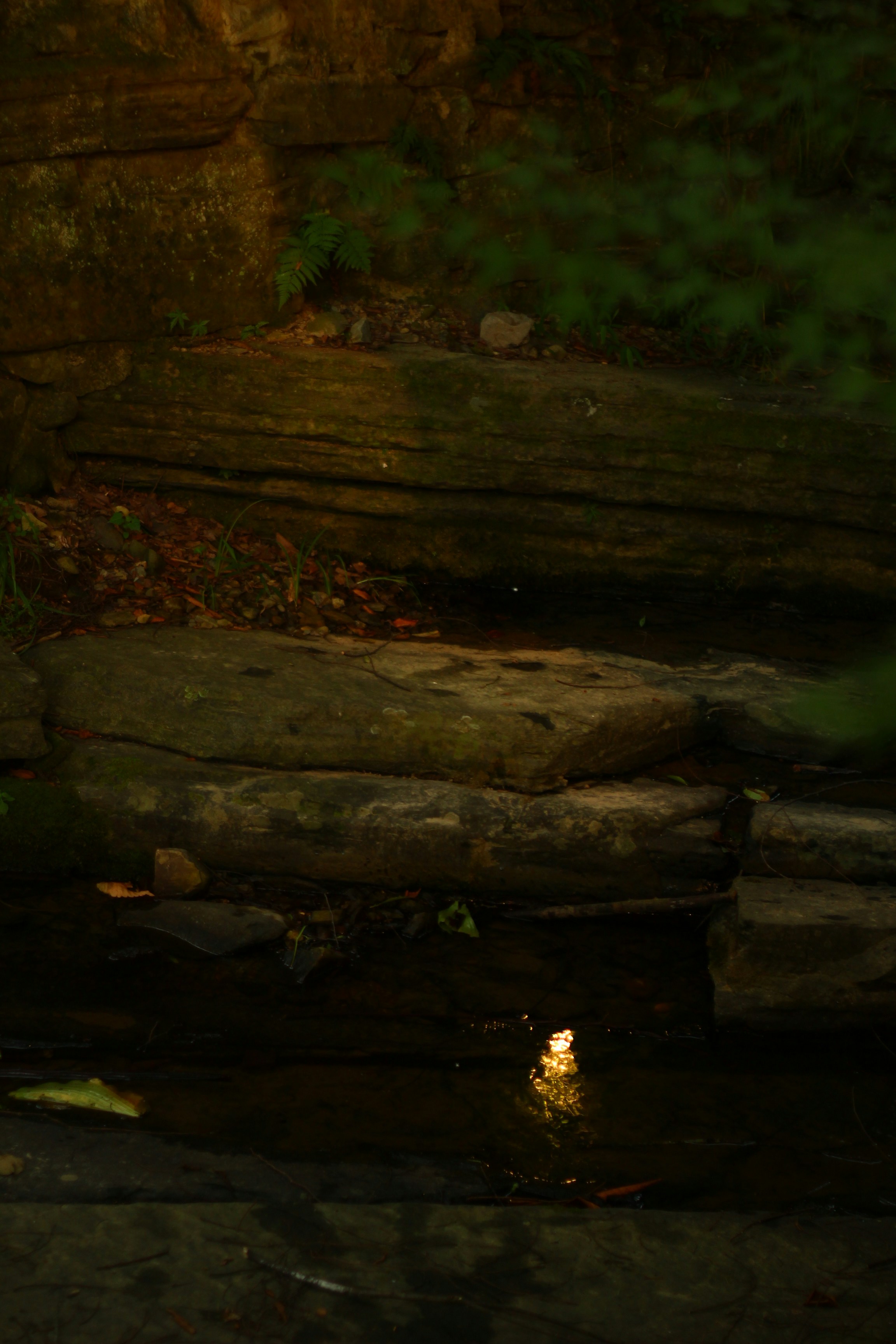 Photo by Bimda W with Canon EOS 550D