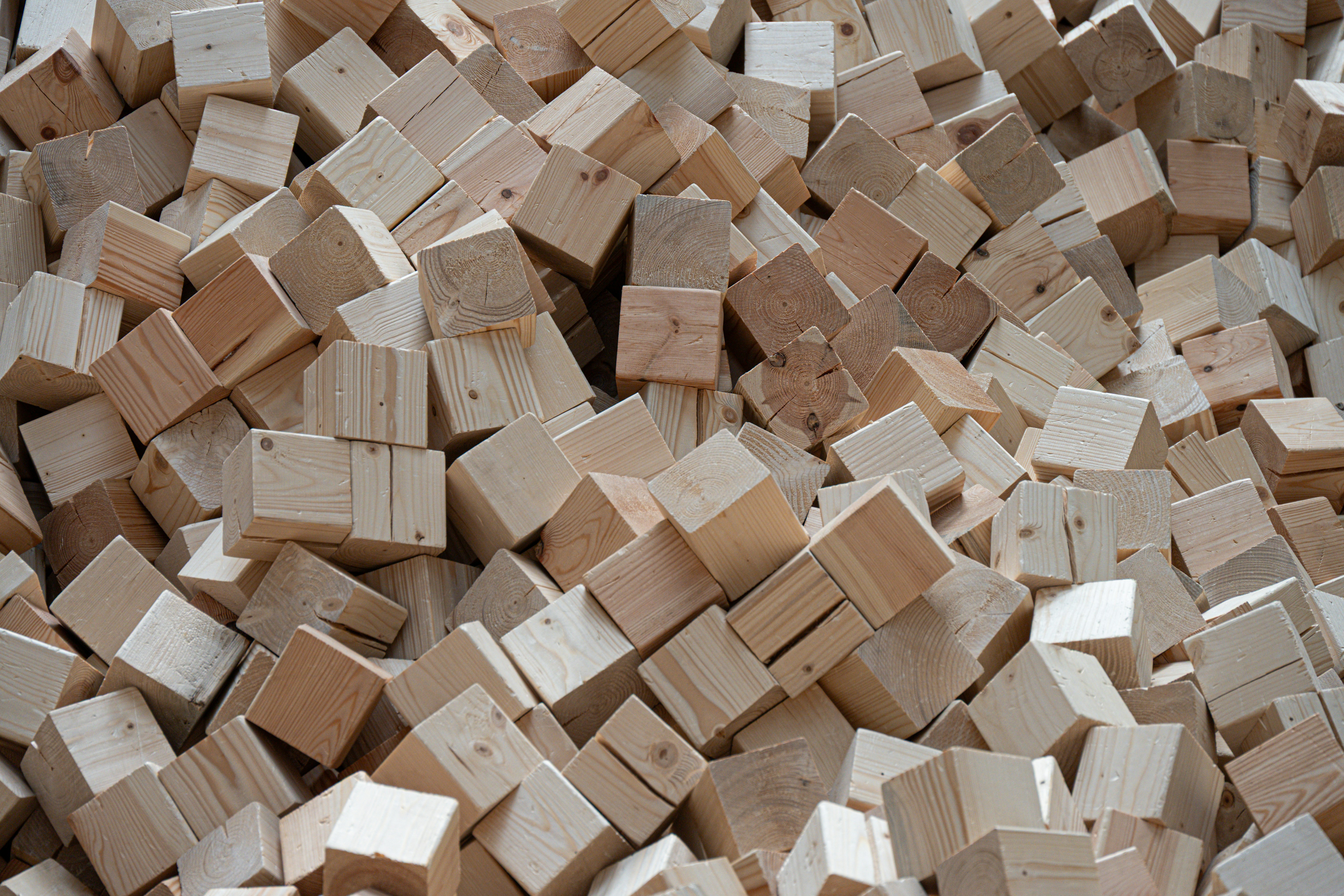 A Quiet Sea of Timber Cubes