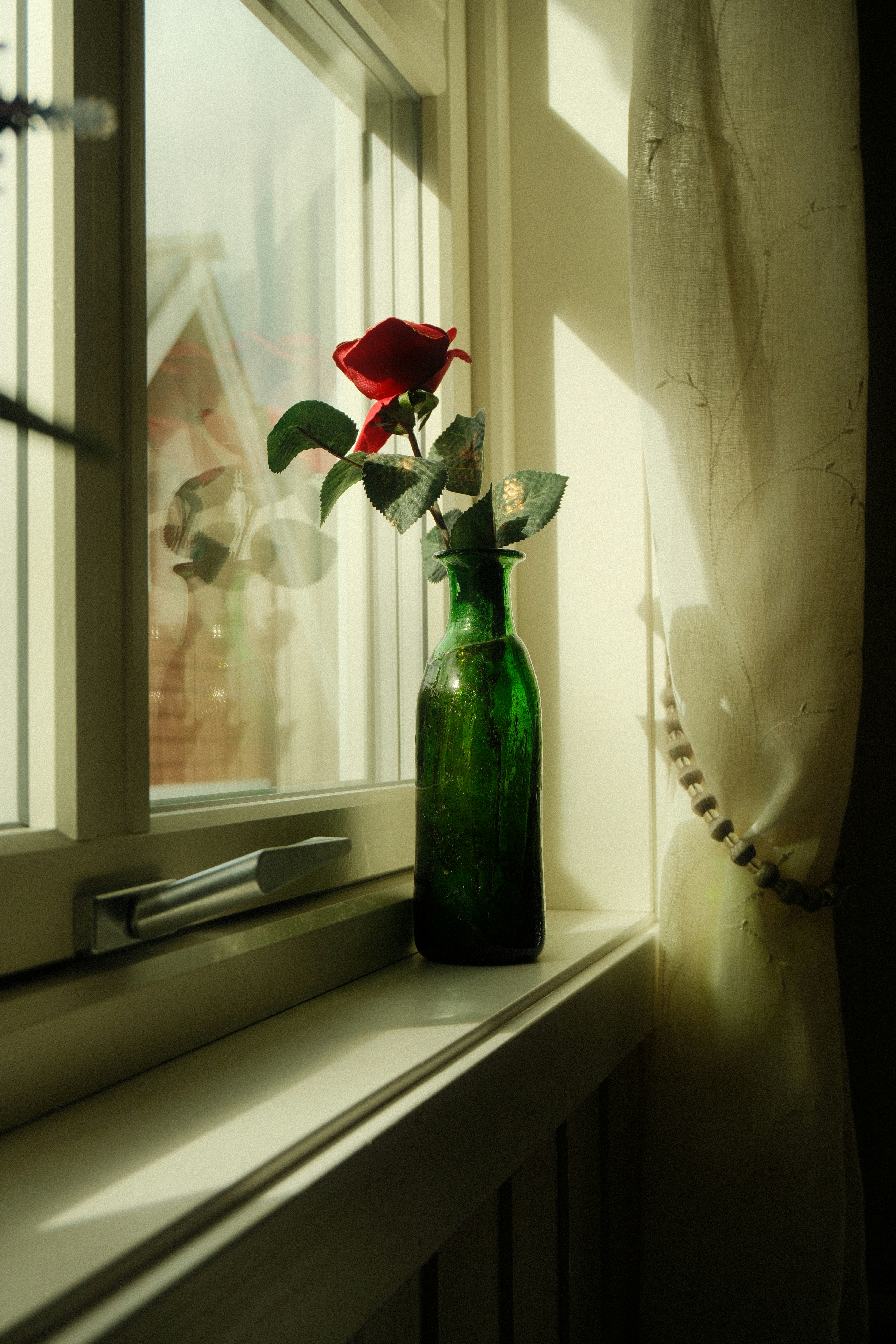 Red Rose in a Green Bottle: Quiet Morning Light on a Windowsill