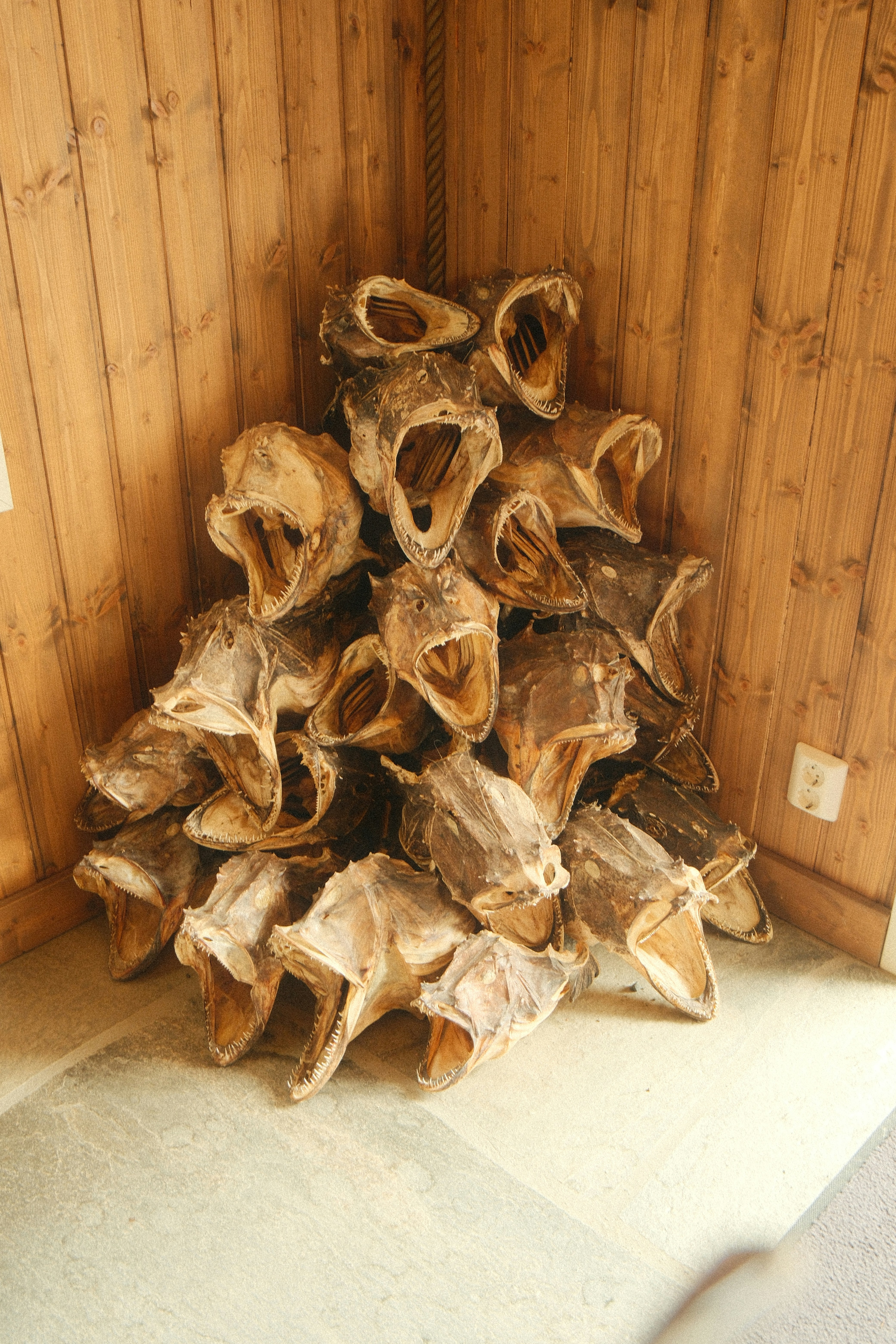Stacked Laughing Skulls: A Rustic Display of Leatherwork
