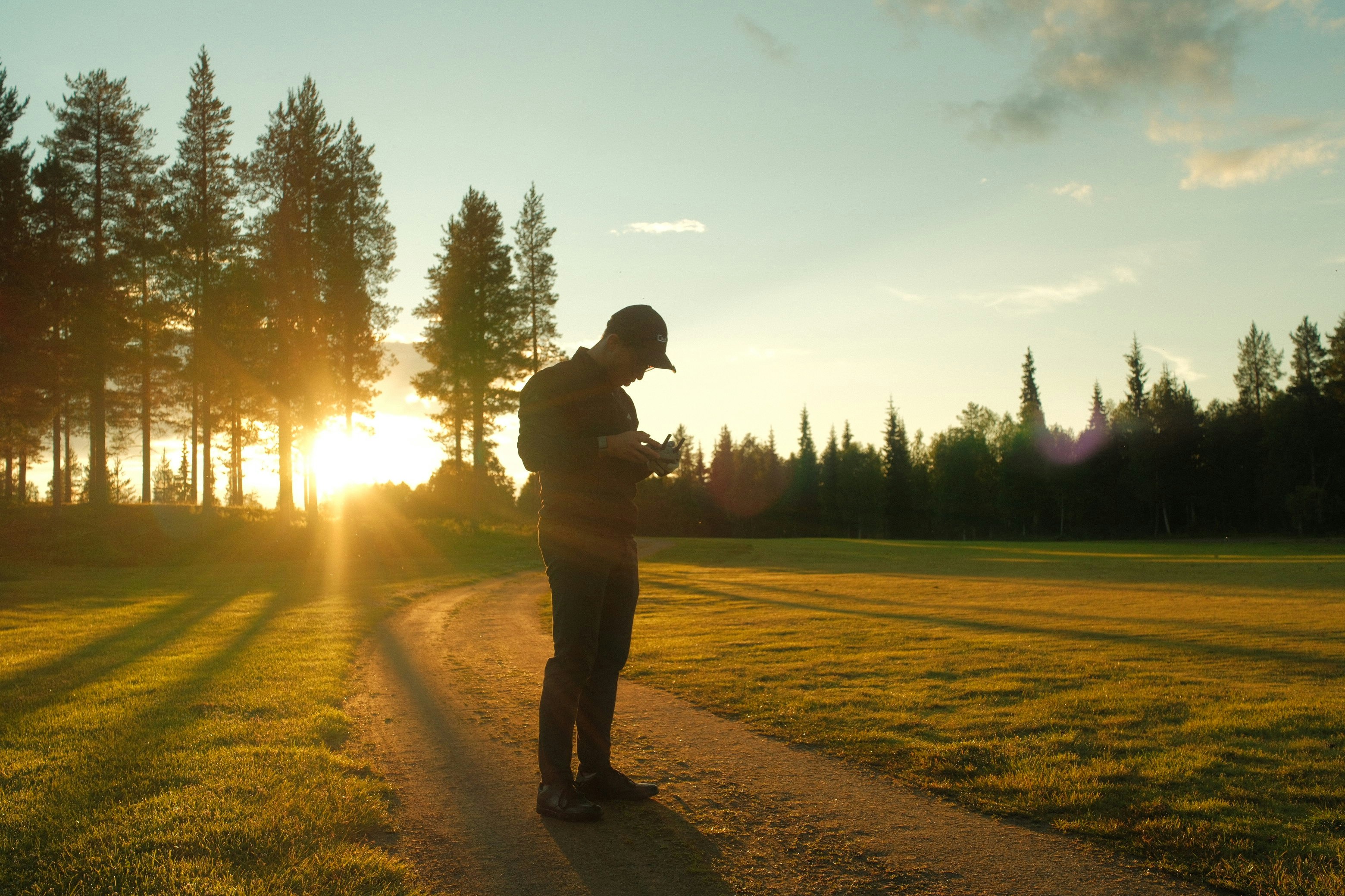 Sunlit Wanderer: A Quiet Moment in the Dappled Field