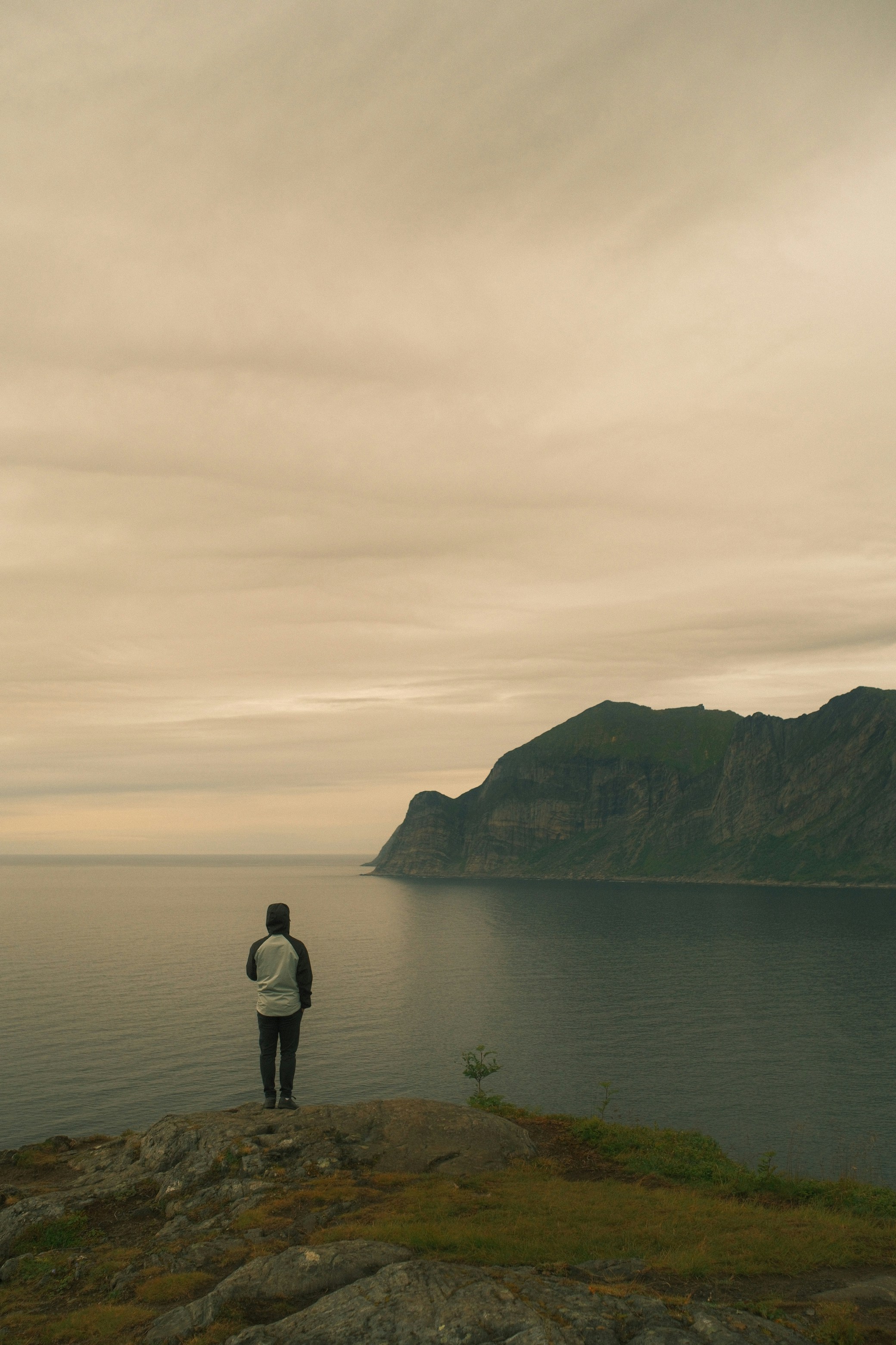 Horizon Gazer on the Cliff Edge