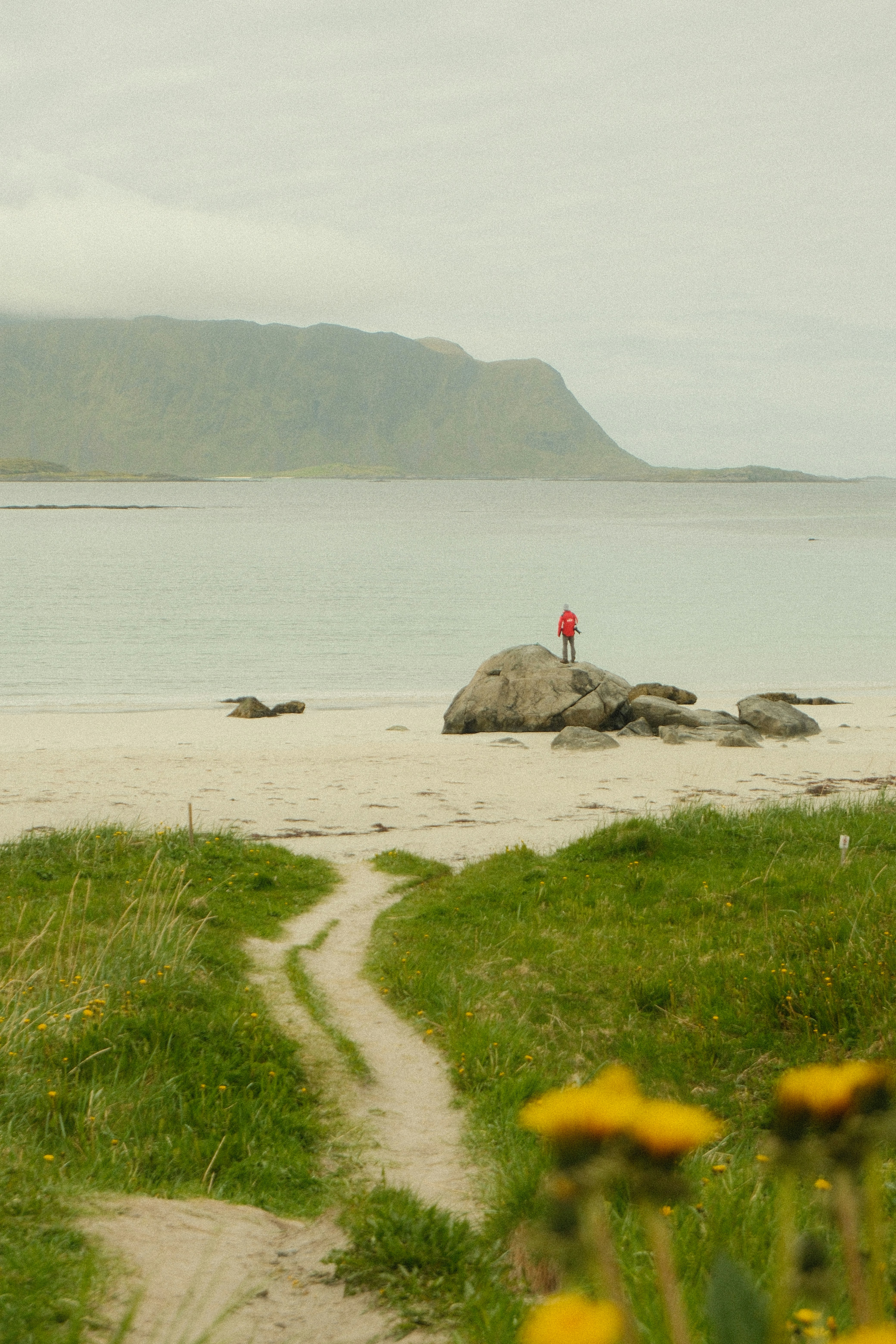  Lone figure on a sunlit rock: a quiet coastal moment