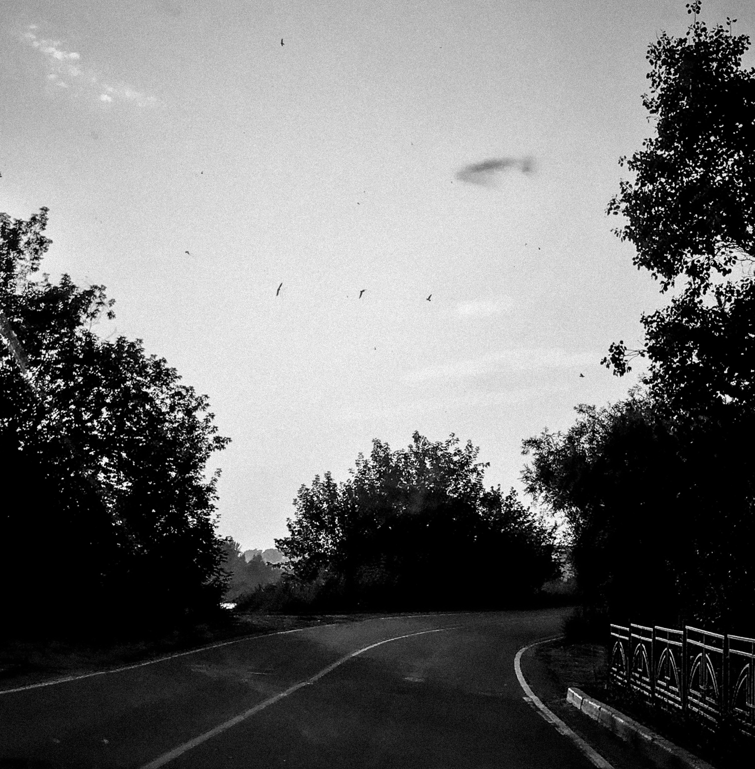 Monochrome scene of a winding road flanked by trees, with a distant sky and a small bridge railing on the right; evokes a tranquil, contemplative road-trip moment.