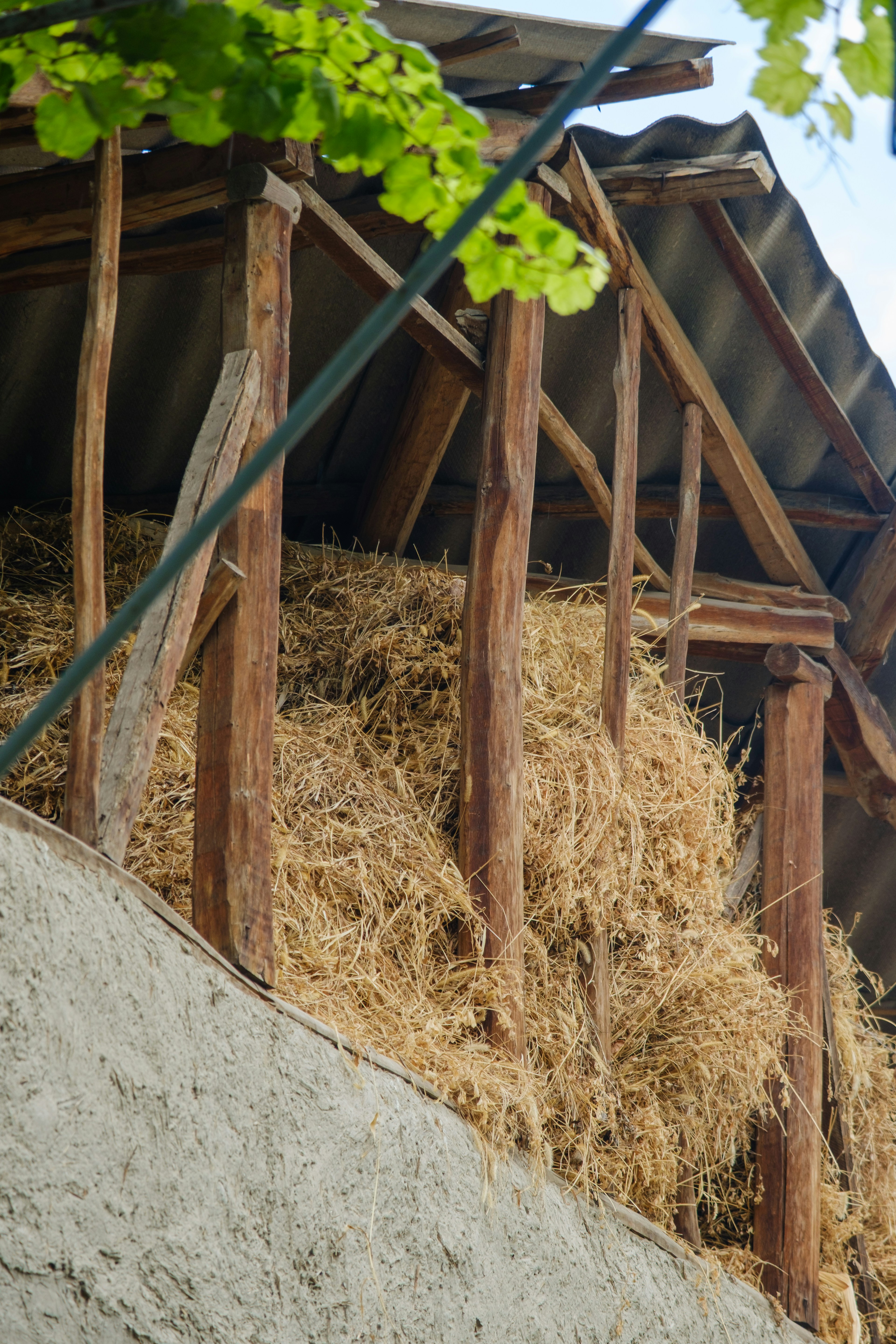 Harvested Hayloft Under Weathered Timber Roof
