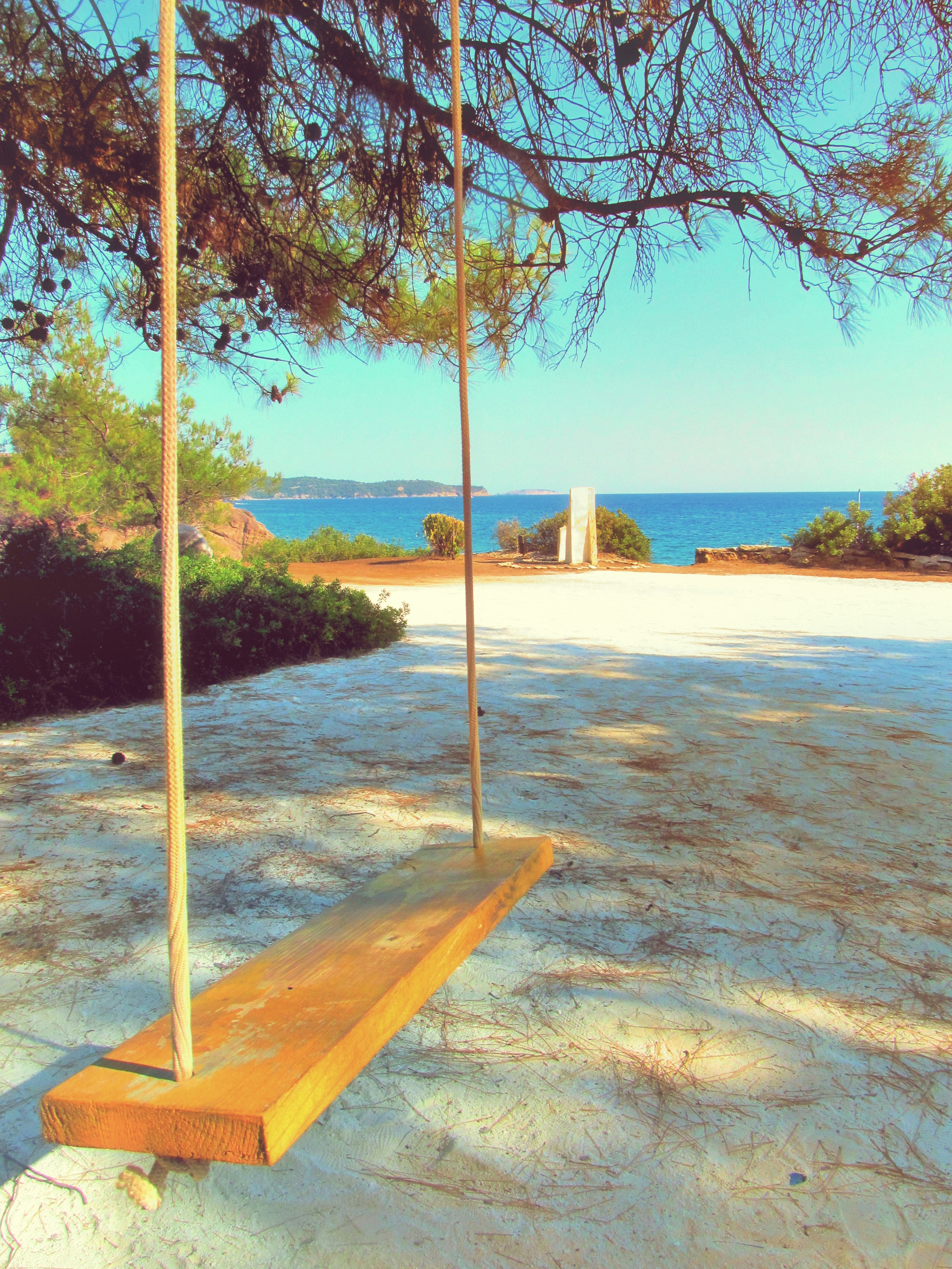 Red Cedar Swing by the Sea