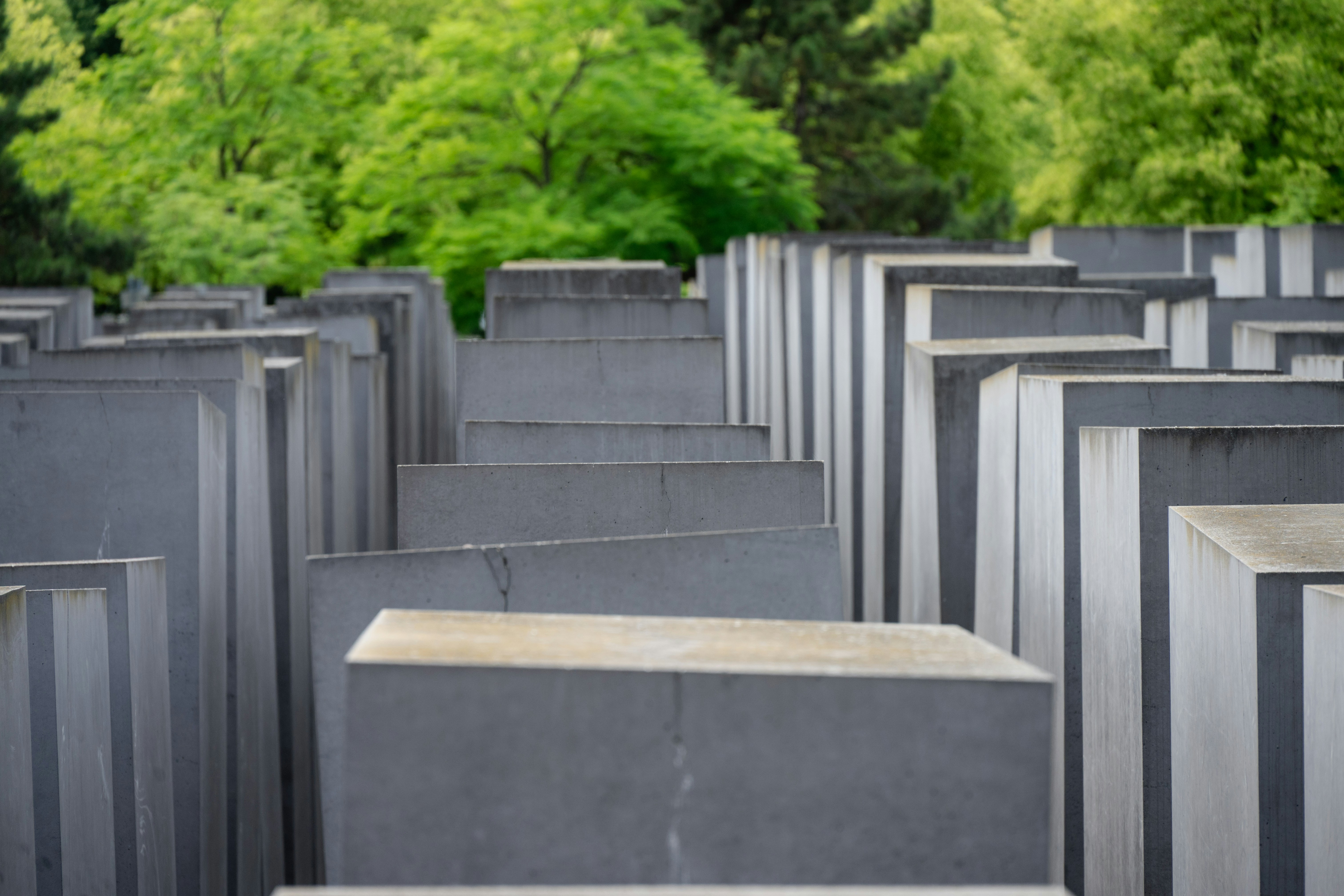Shadows of Memory: Concrete Monoliths in a Quiet Grove