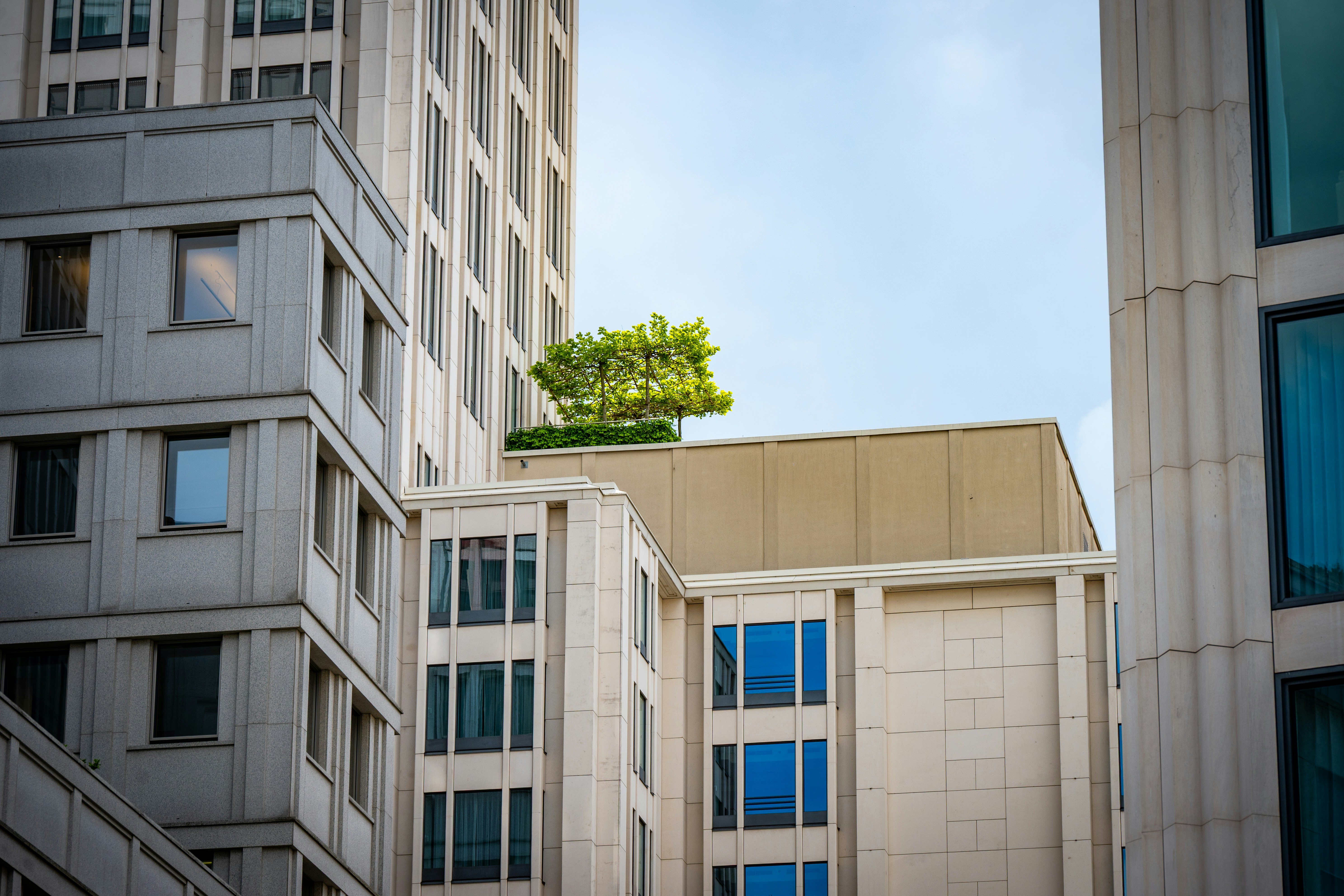 Skyline Terrace: Greenery Among Concrete Giants