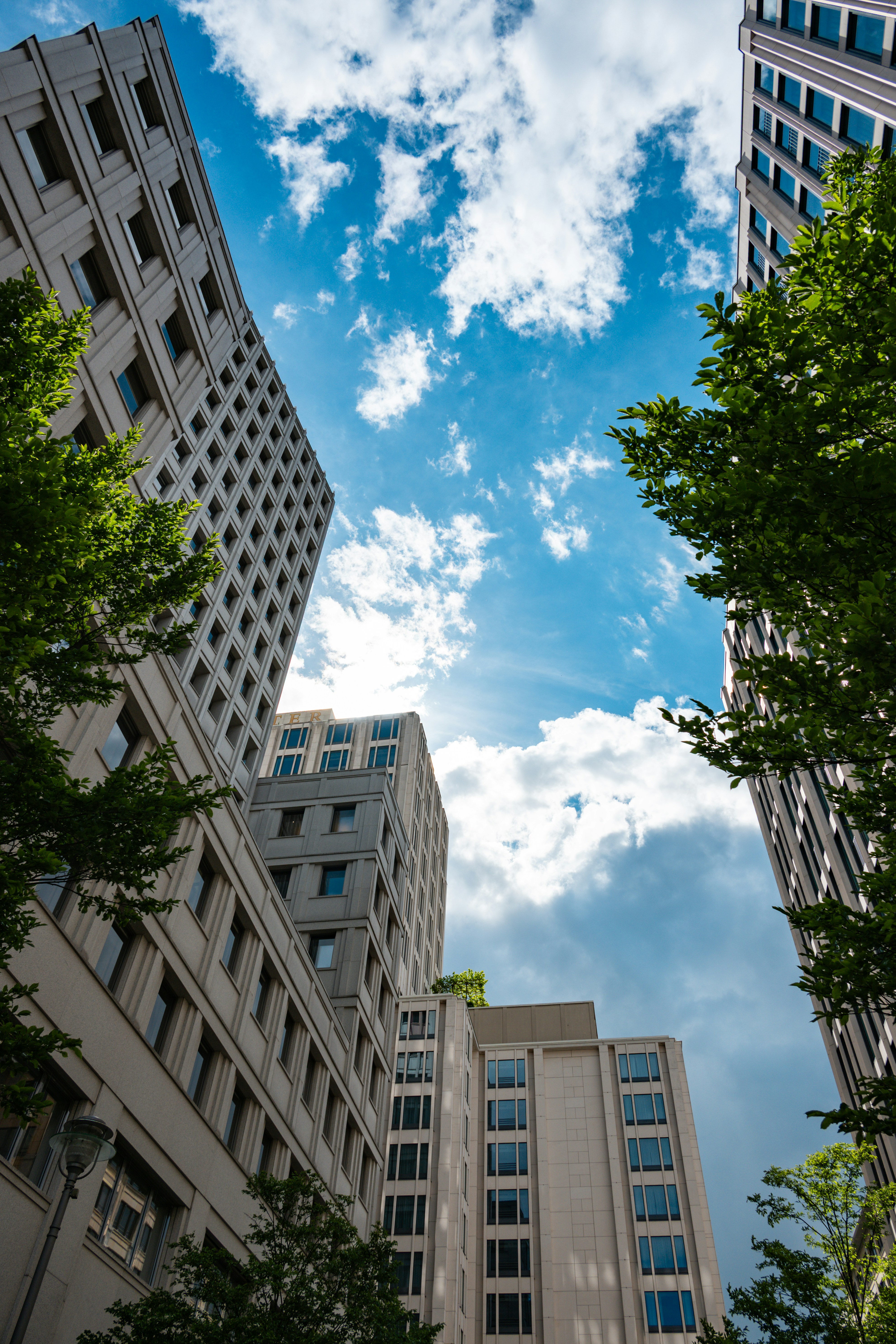Skyward Corridor: Urban Towers Reaching for the Blue