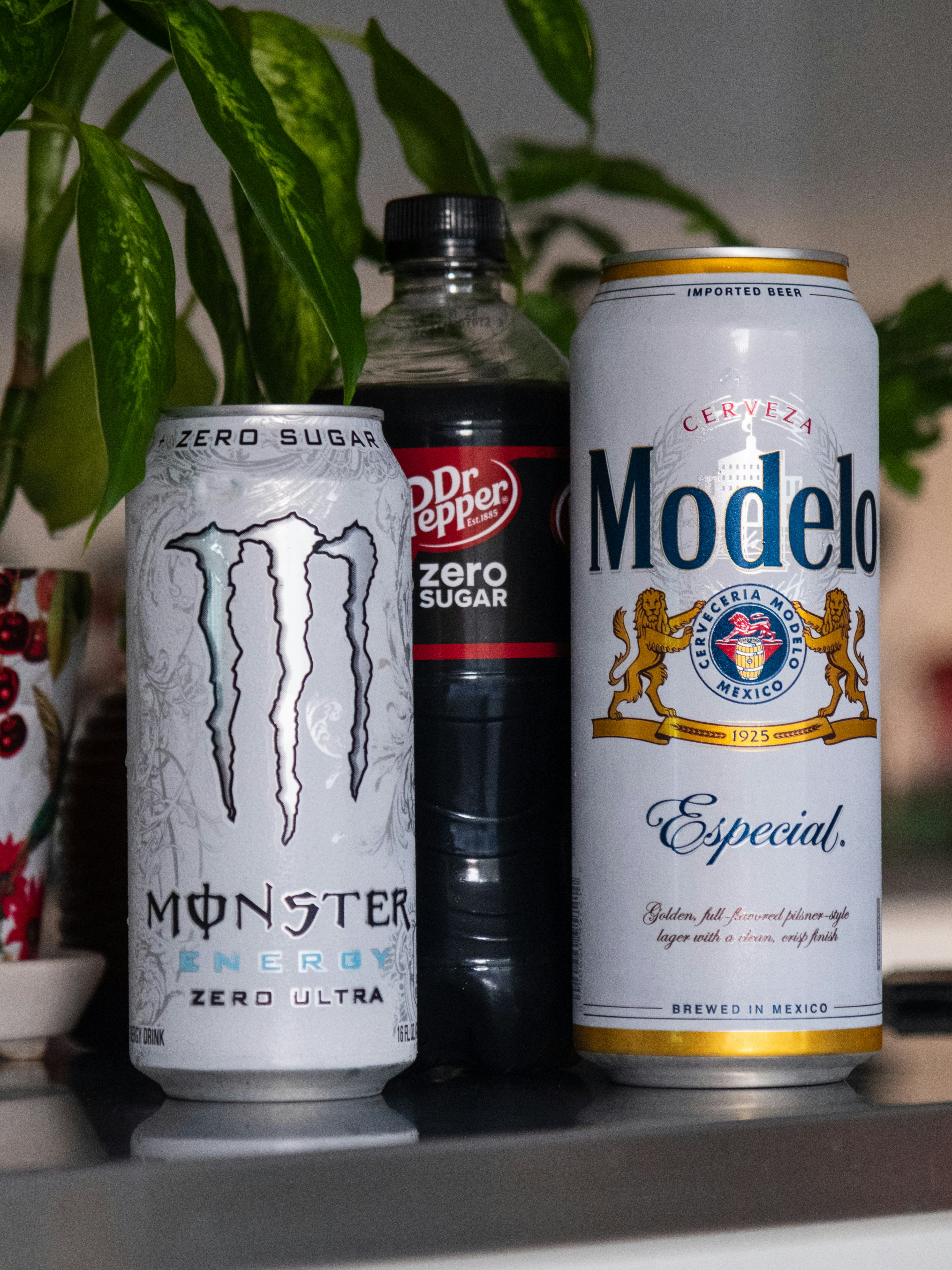 Monochrome Monster and Mexican Crest: A Beer Can Portrait