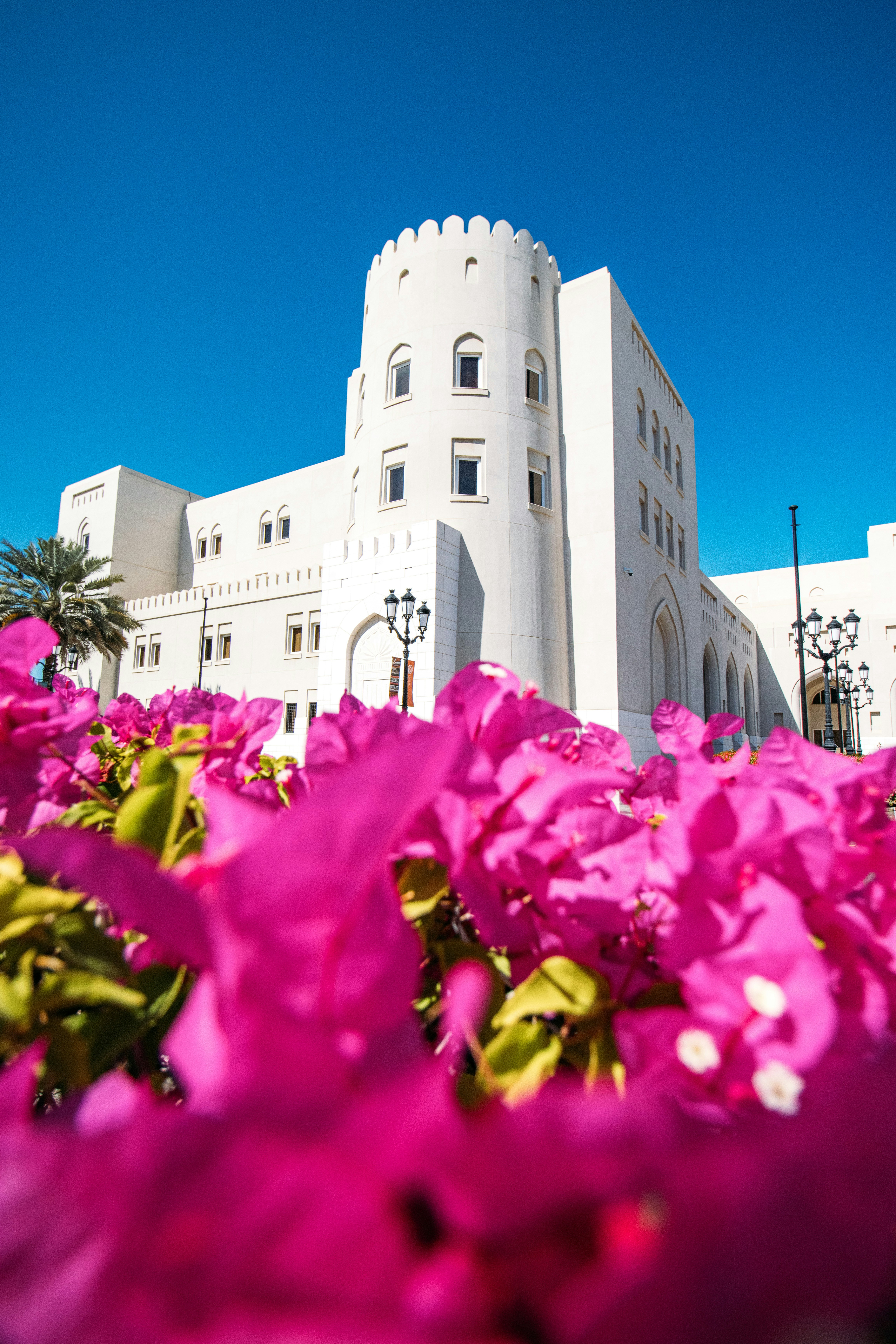Blossoms in Front of a White Fort: A Contrast of Color and Architecture