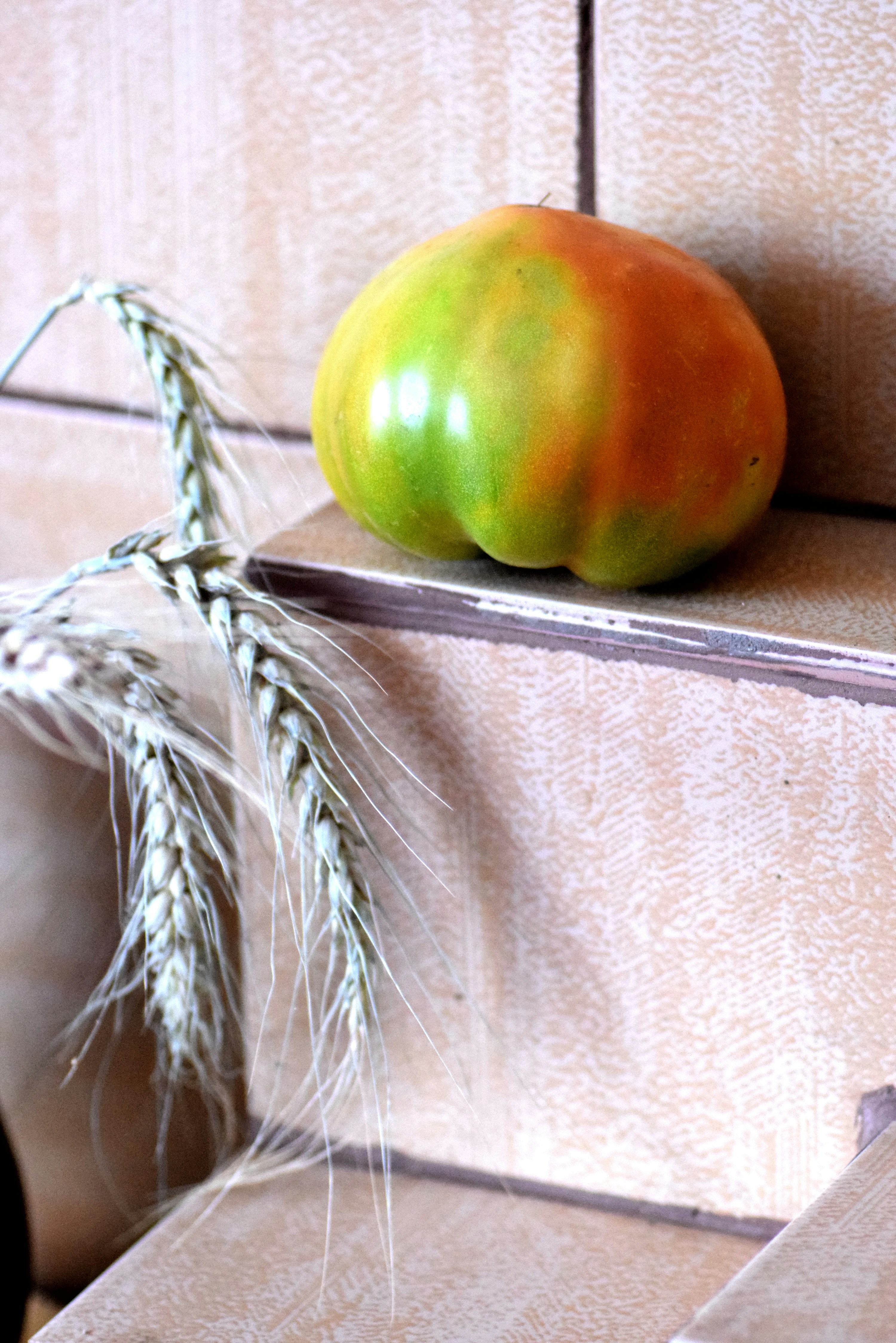 Green-Tipped Tomato Resting on a Wooden Shelf