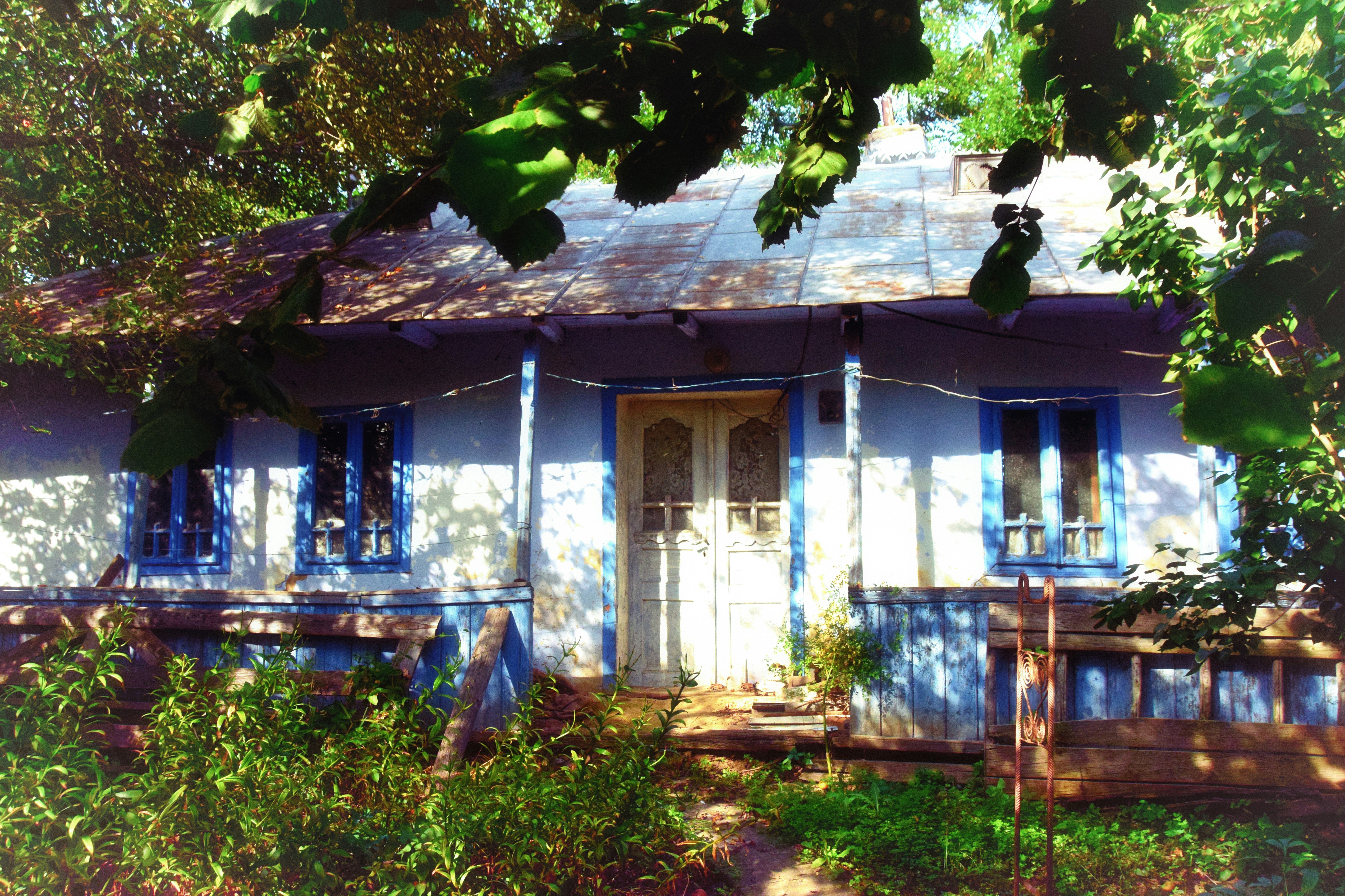 Blue Cottage Framed by Overhanging Leaves