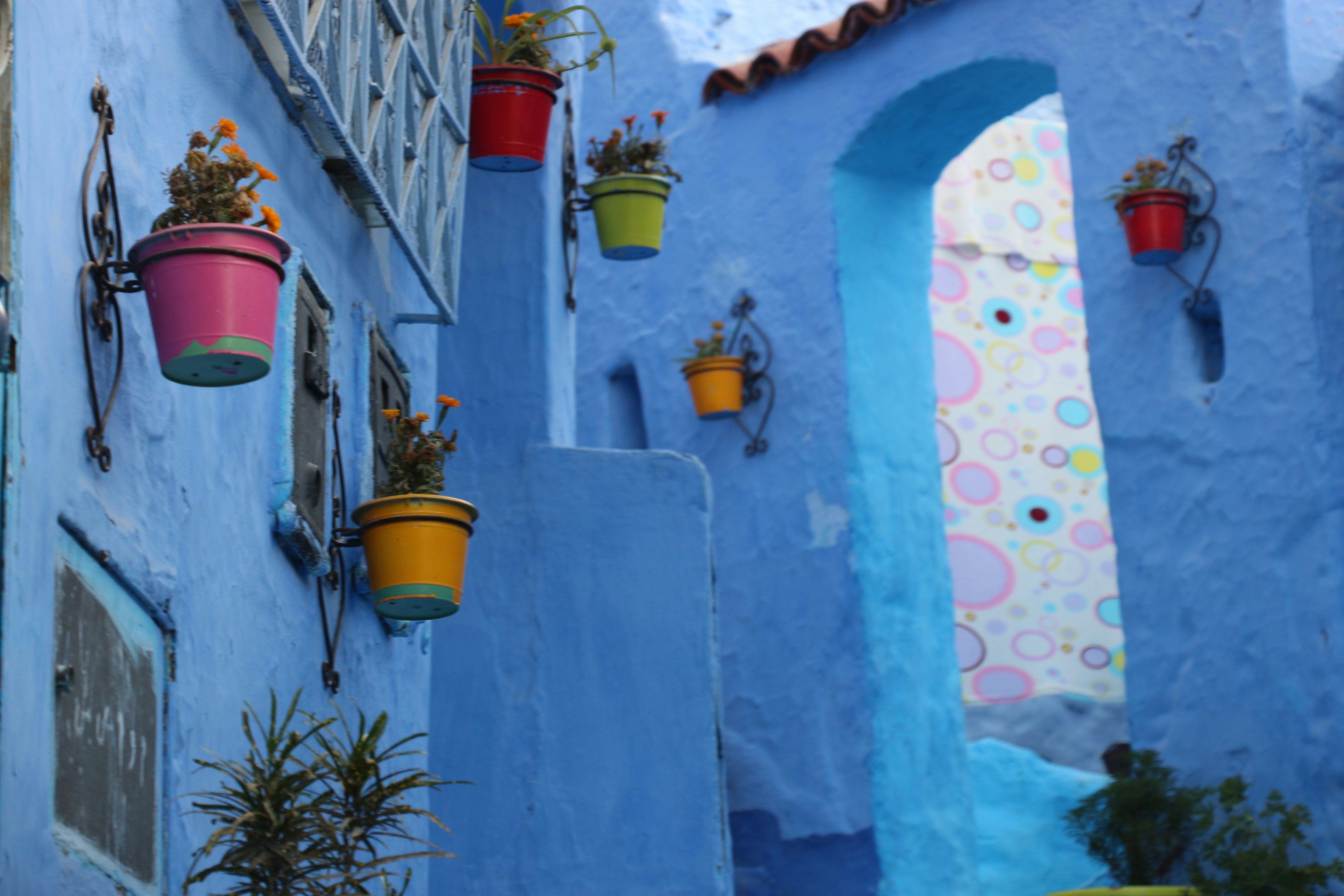 Blue Alleys and Painted Pots