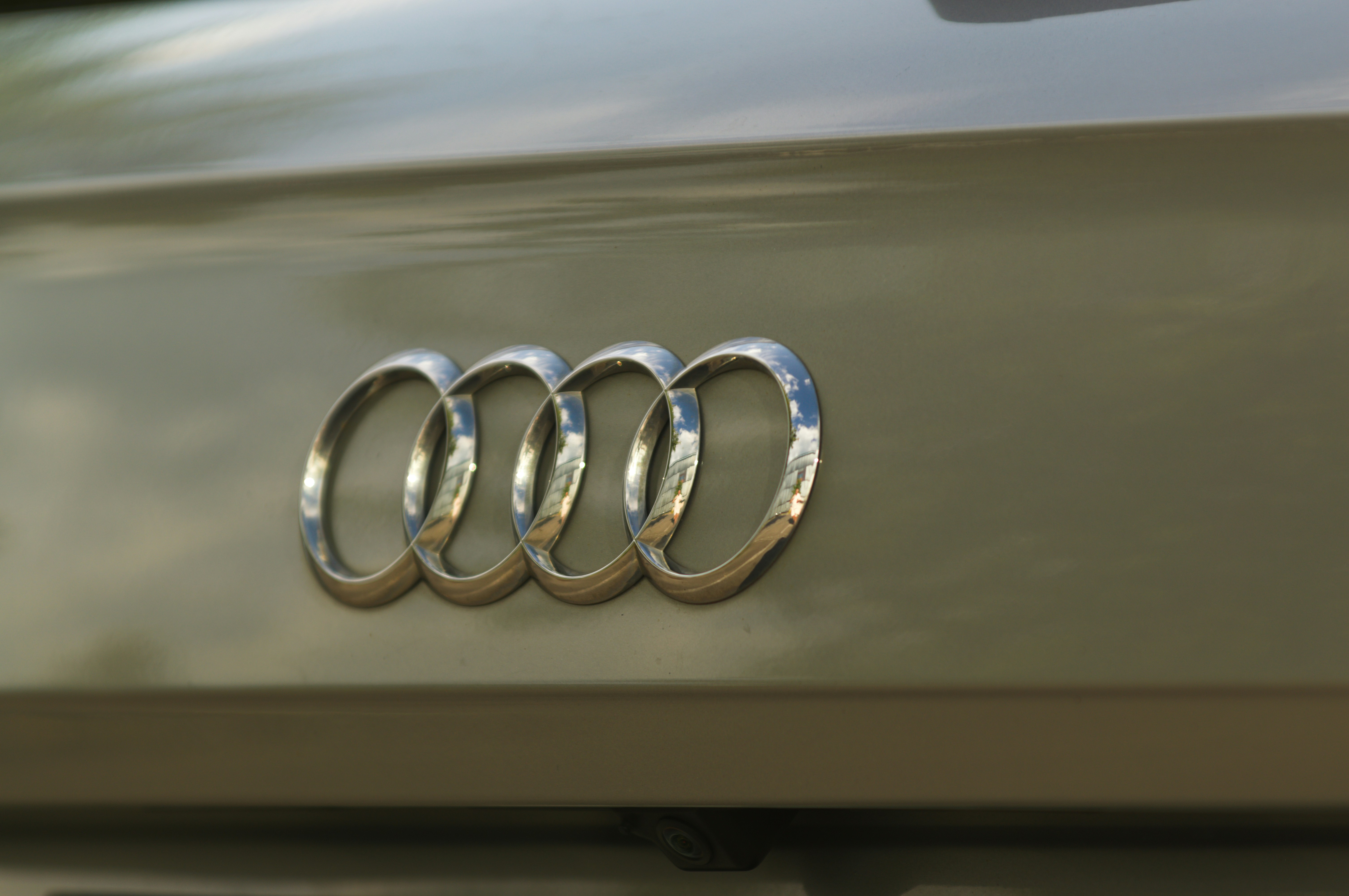 Chrome Rings on a Metallic Crest