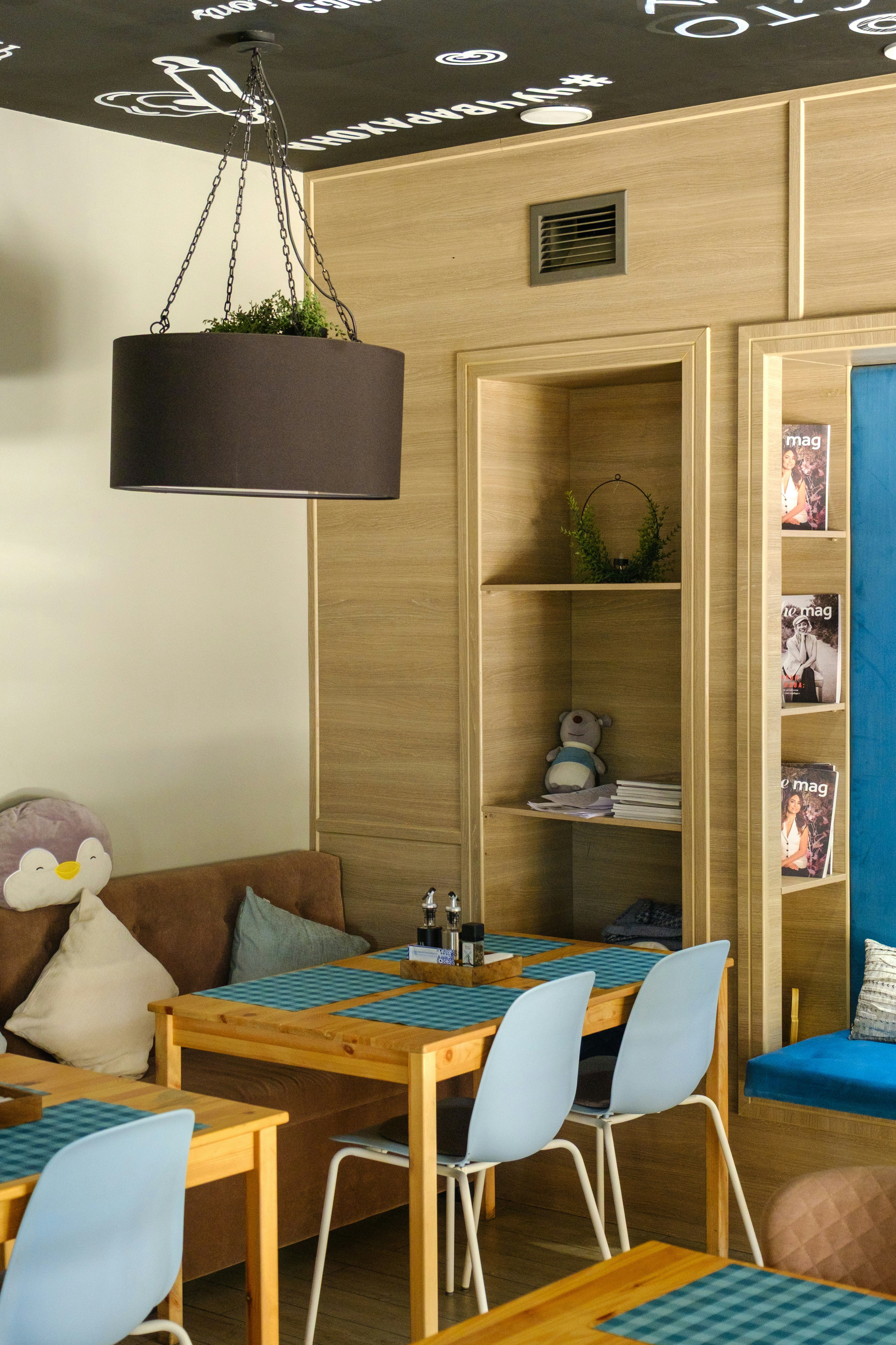 Cozy café corner with hanging planter and mint-green seating