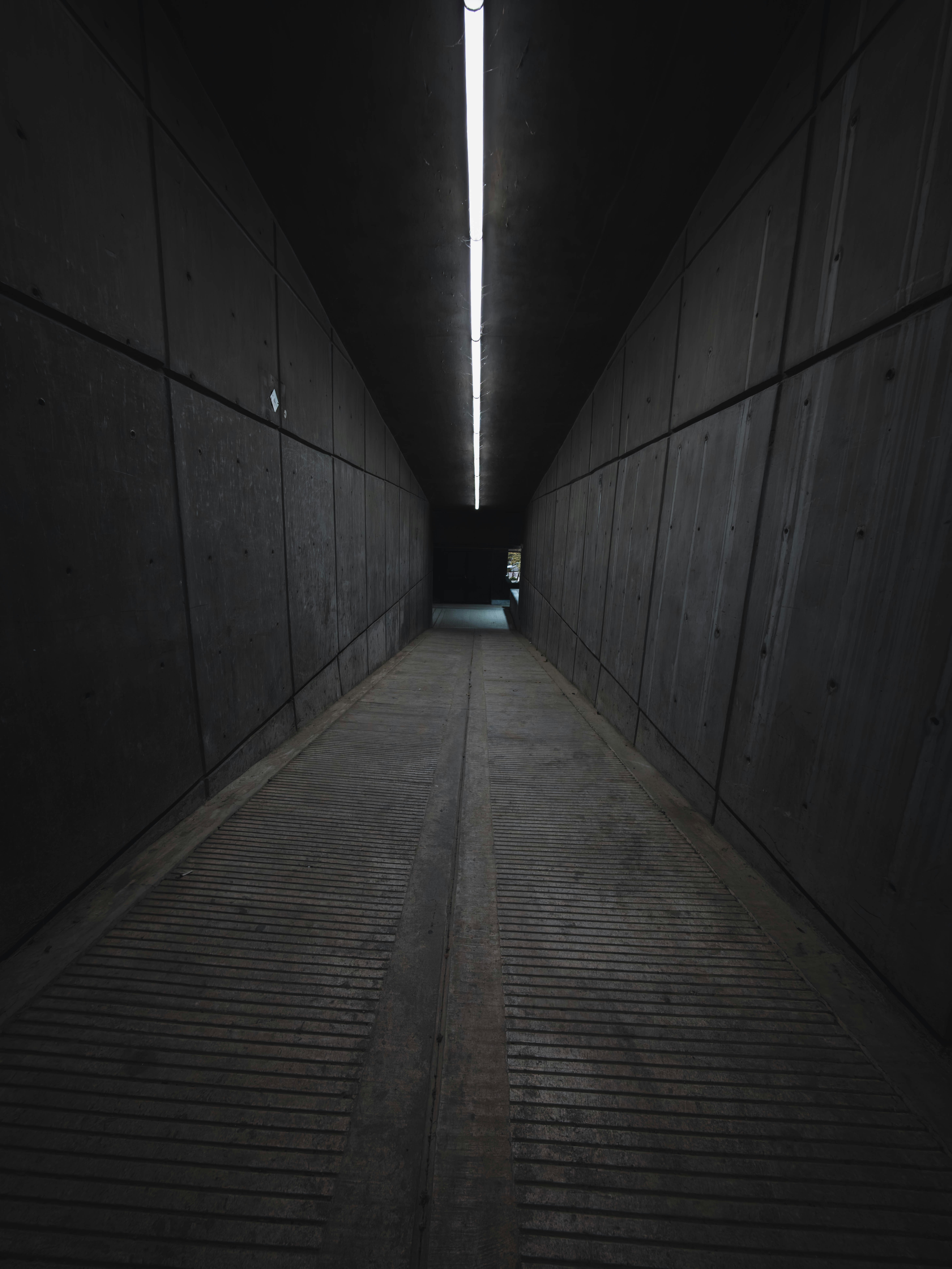 Converging Silence: A Neon-lined Tunnel to the Distant Light
