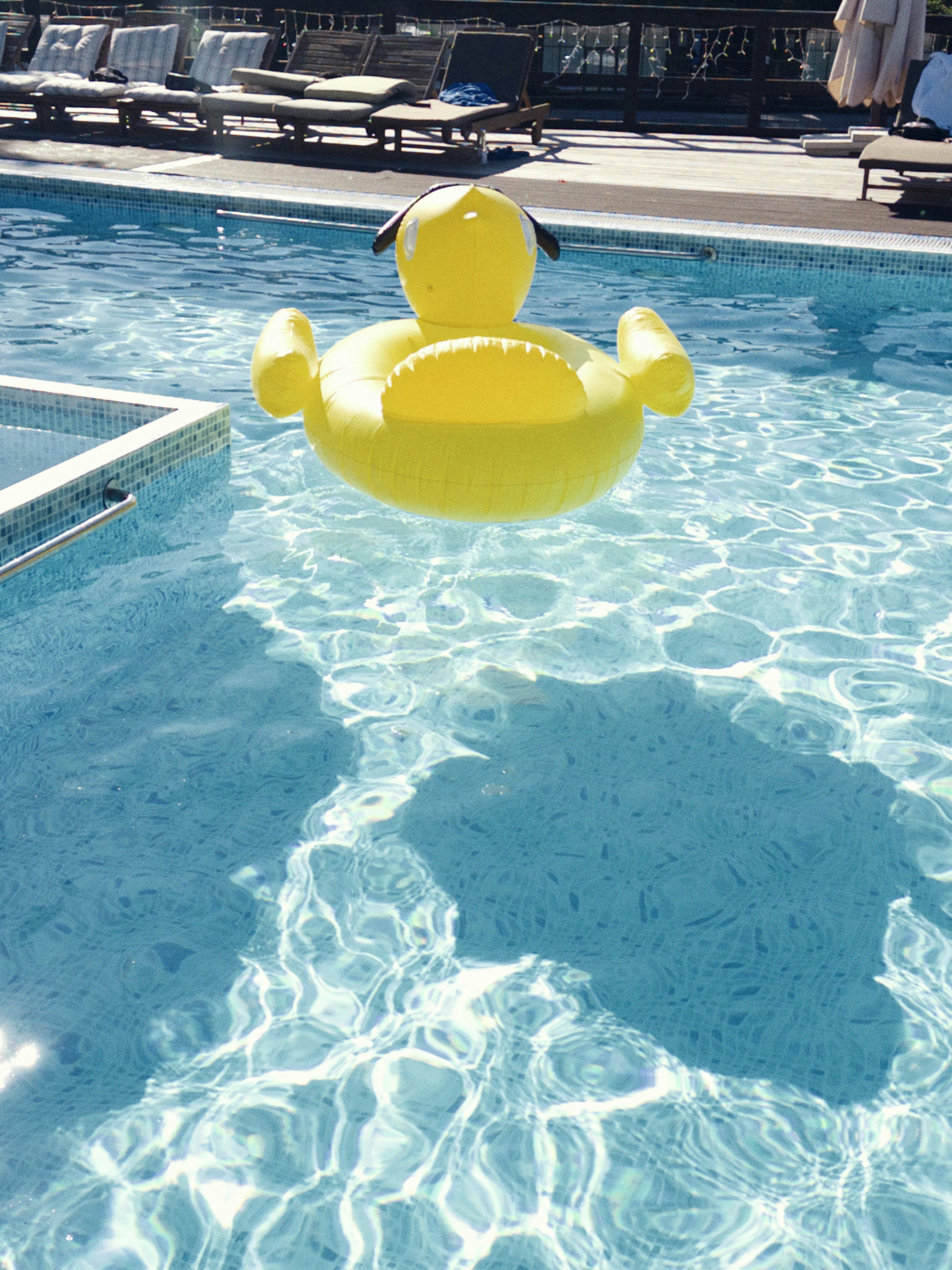 Floating Moment: Yellow Duck Maintains Course at Pool’s Edge