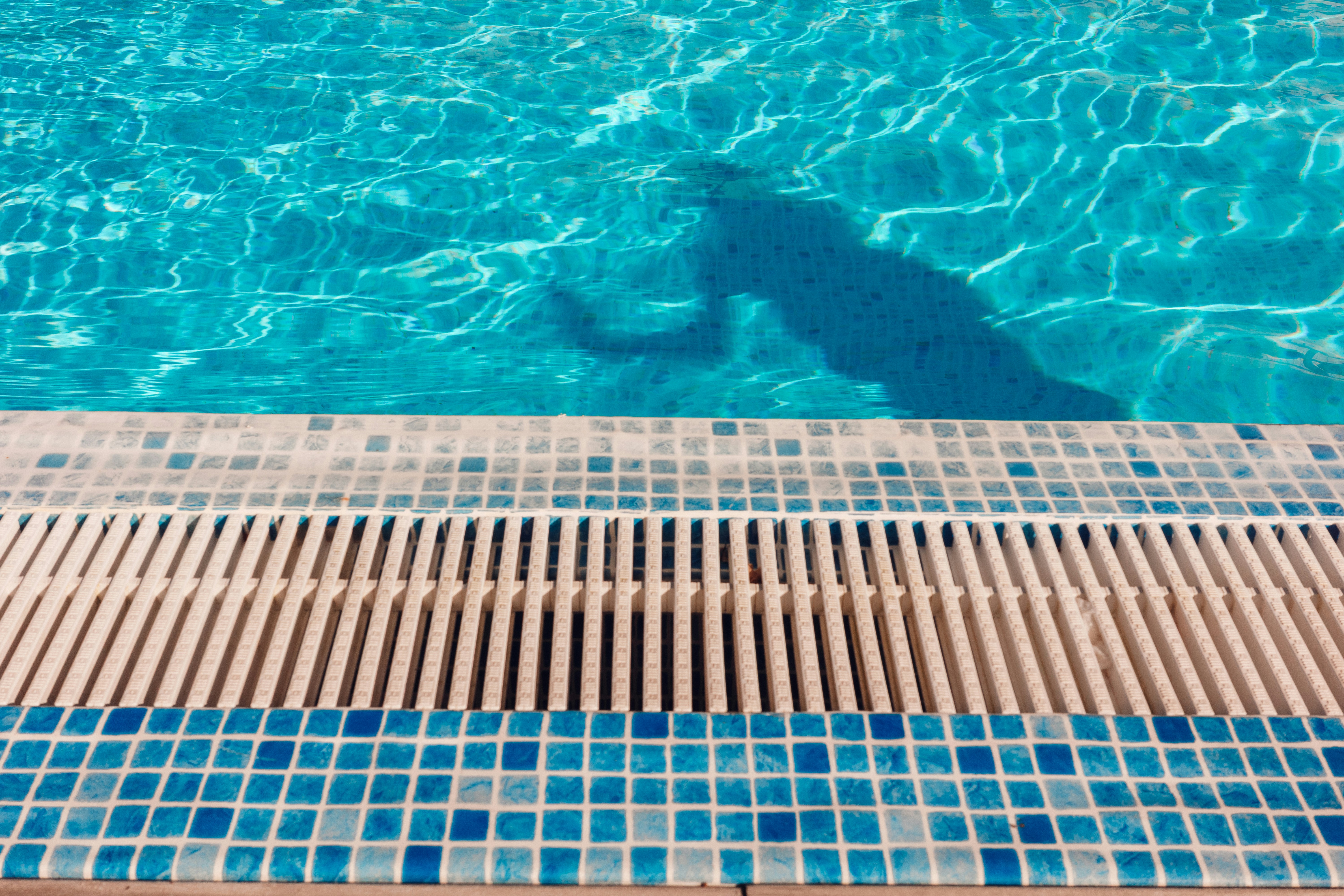 Shadow of a Shark Beneath the Pool Surface