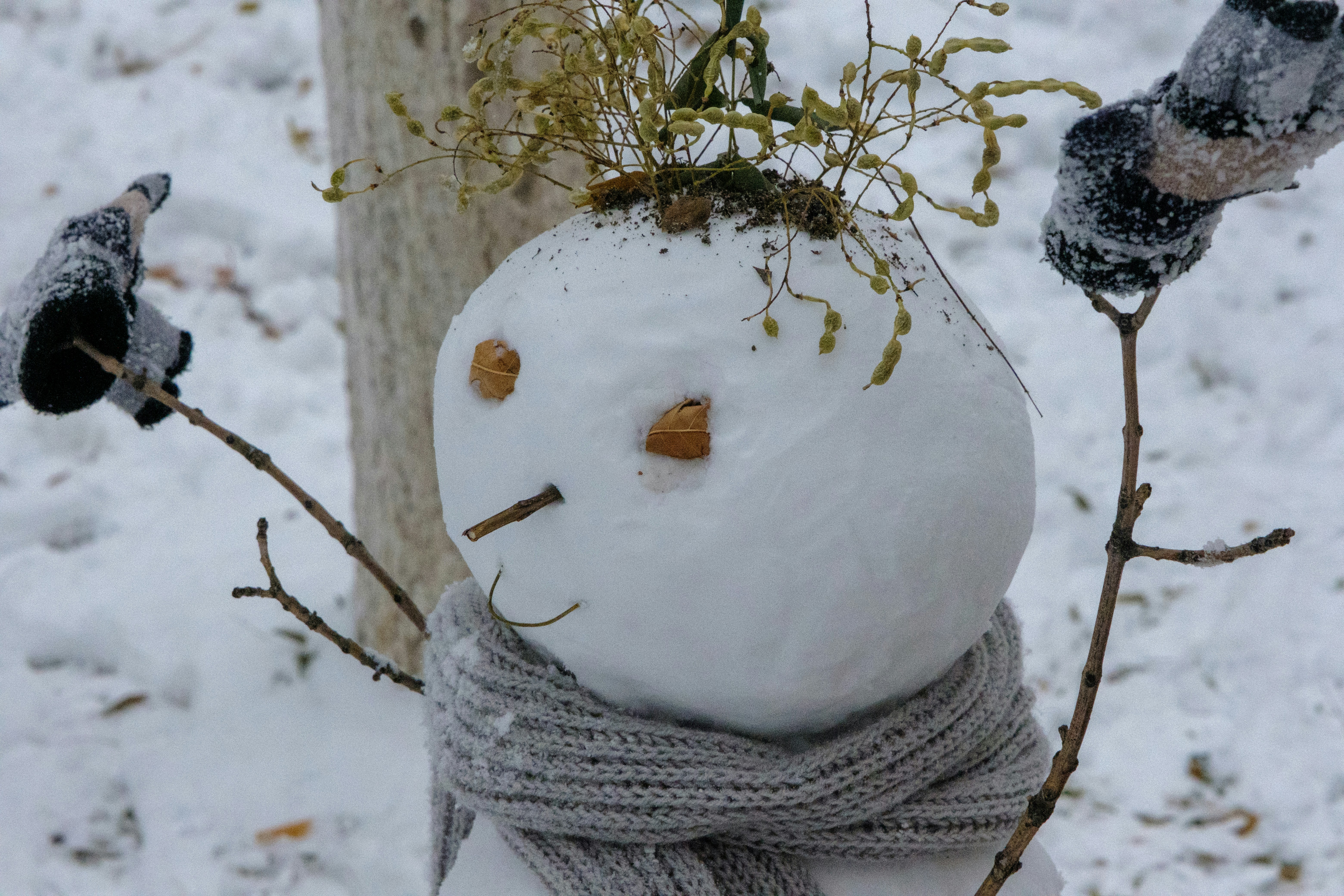 Snowman Portrait: A Whimsical Frosty Character Emerges from Winter Ground