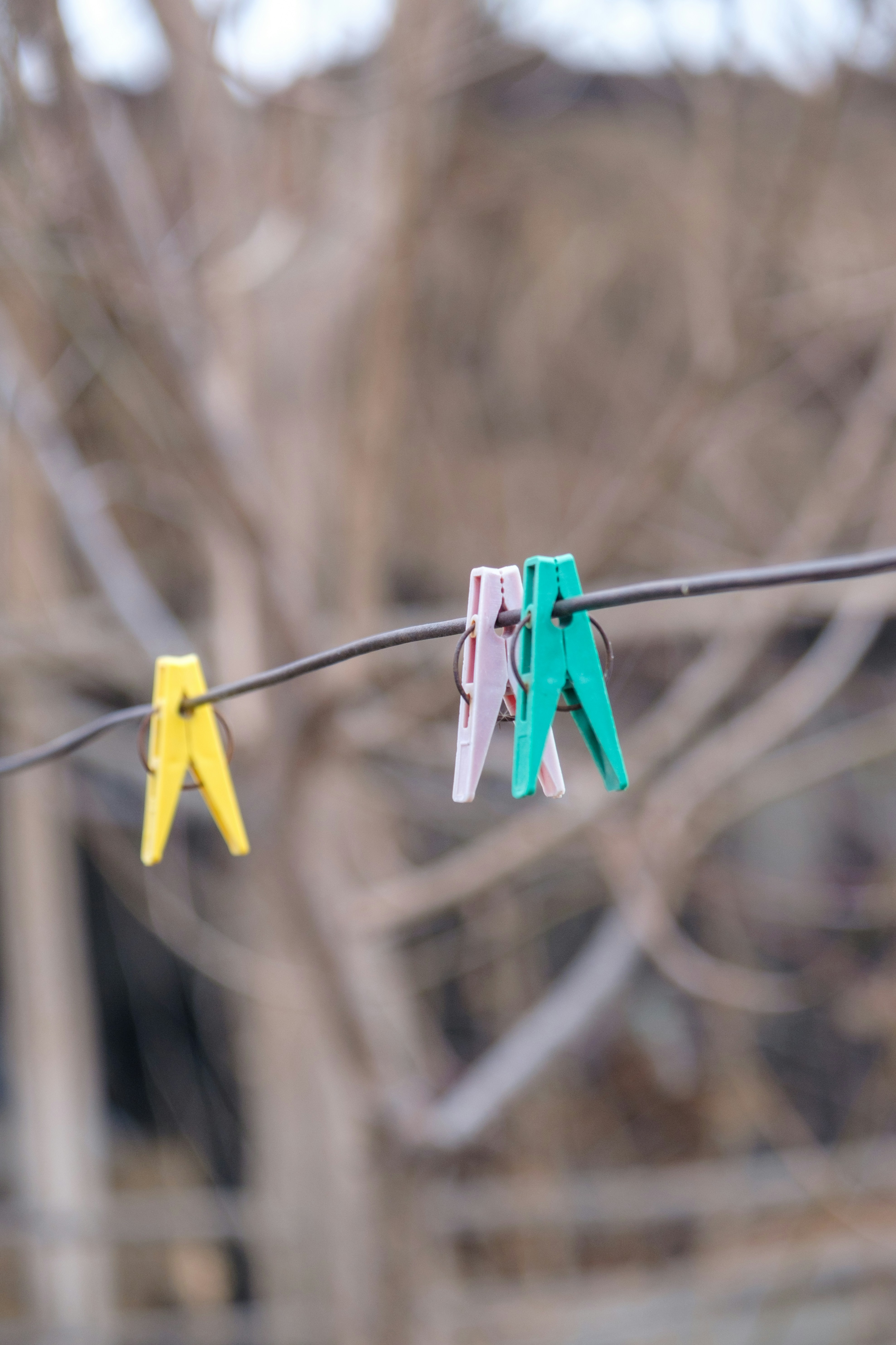 Colorful Clothespins on a Wire: A Quiet Moment in the Backyard