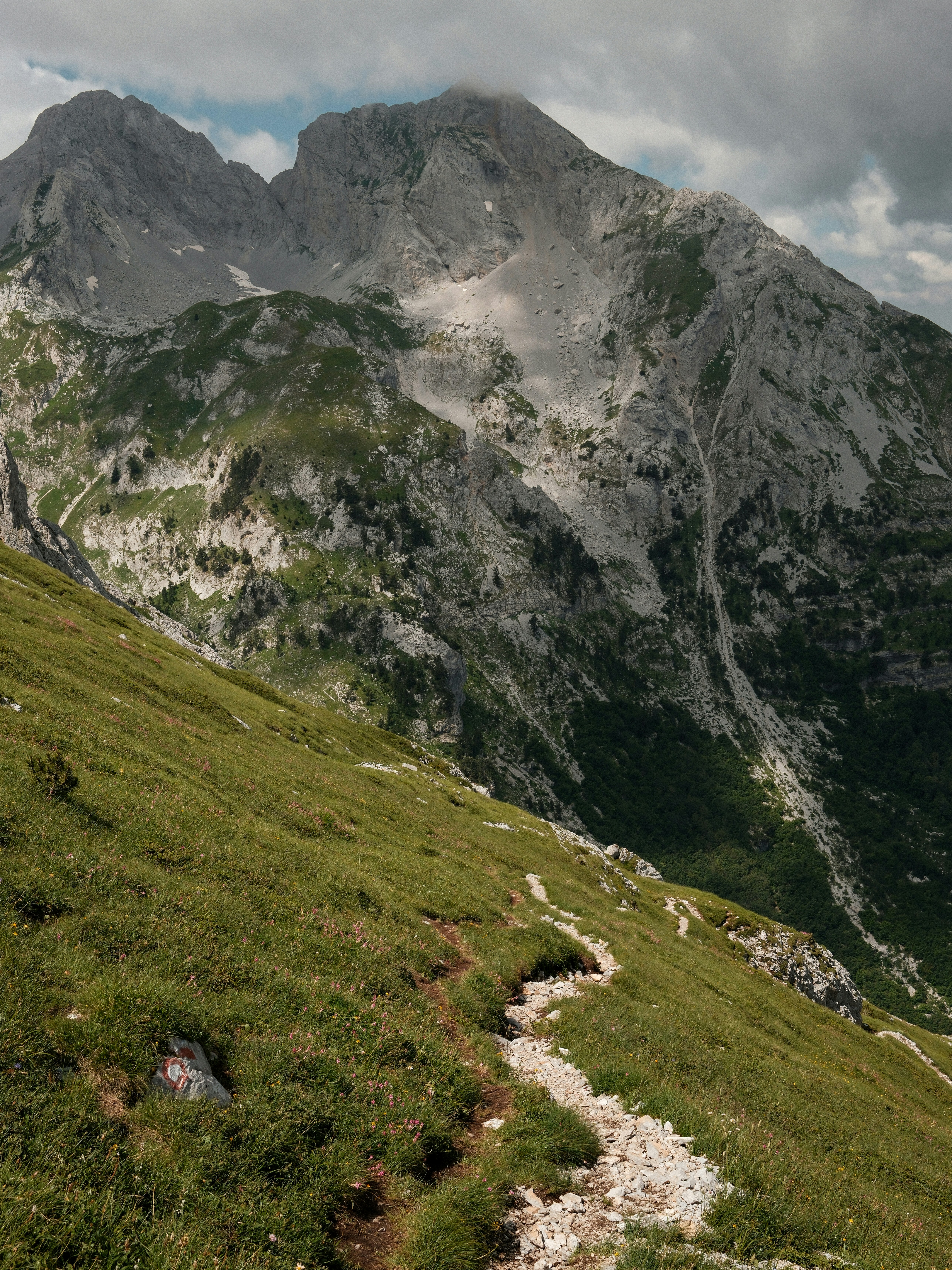 Trail to the Thunder Peaks