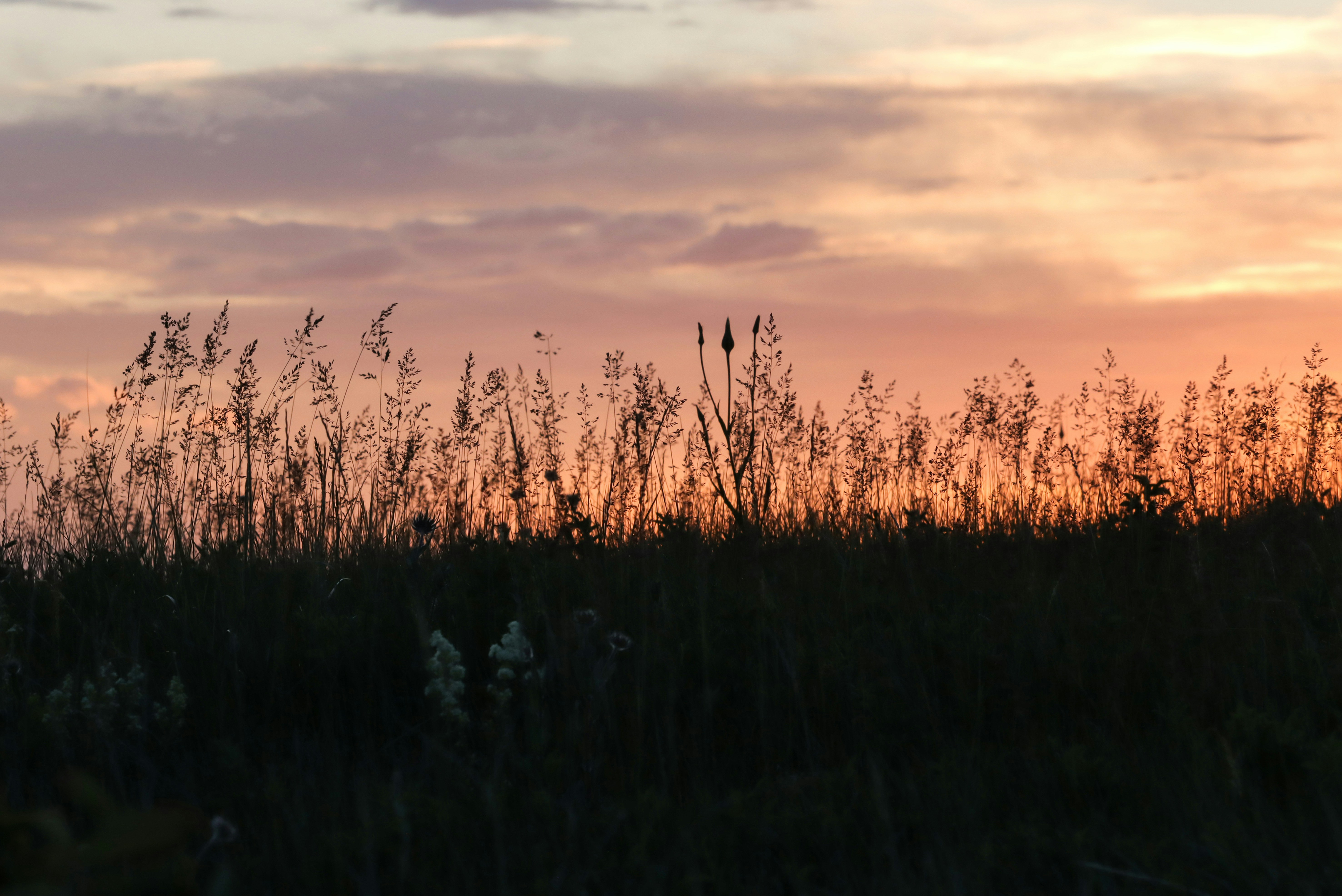 Silhouetted Marsh at Sunset