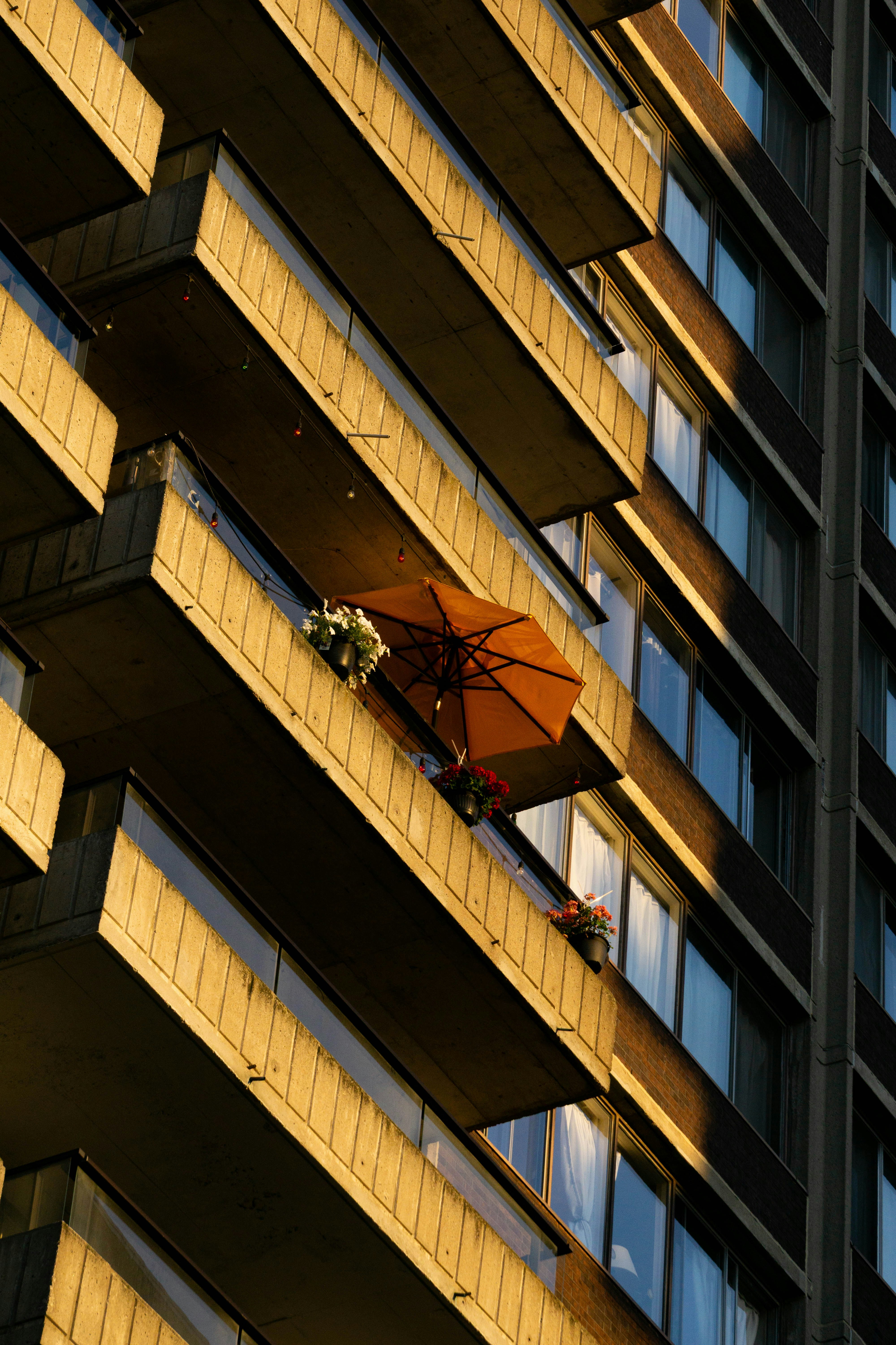 Sunlit Balcony Oasis on a Concrete Facade