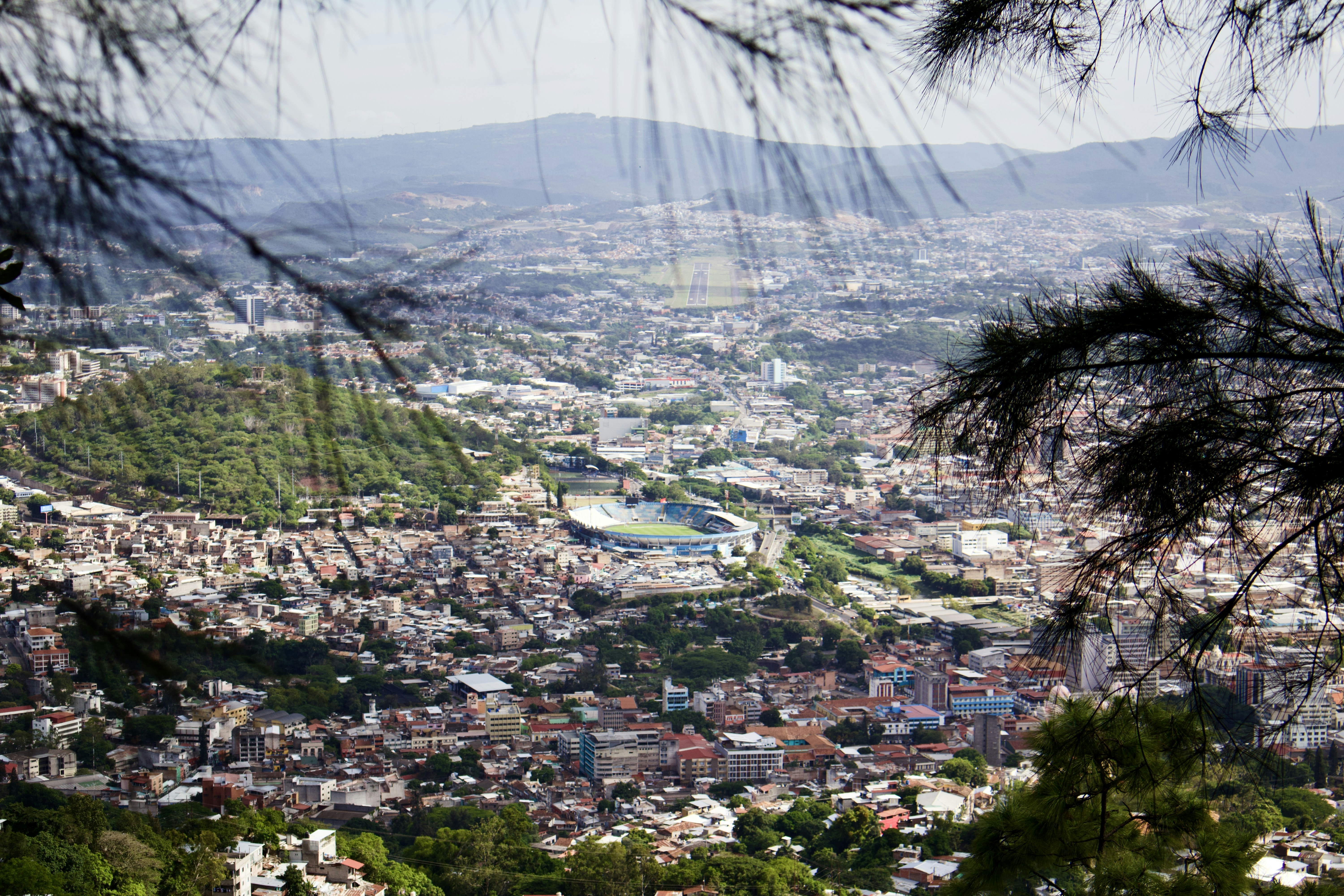 Overlooked Valley // A Panoramic City Framed by Trees