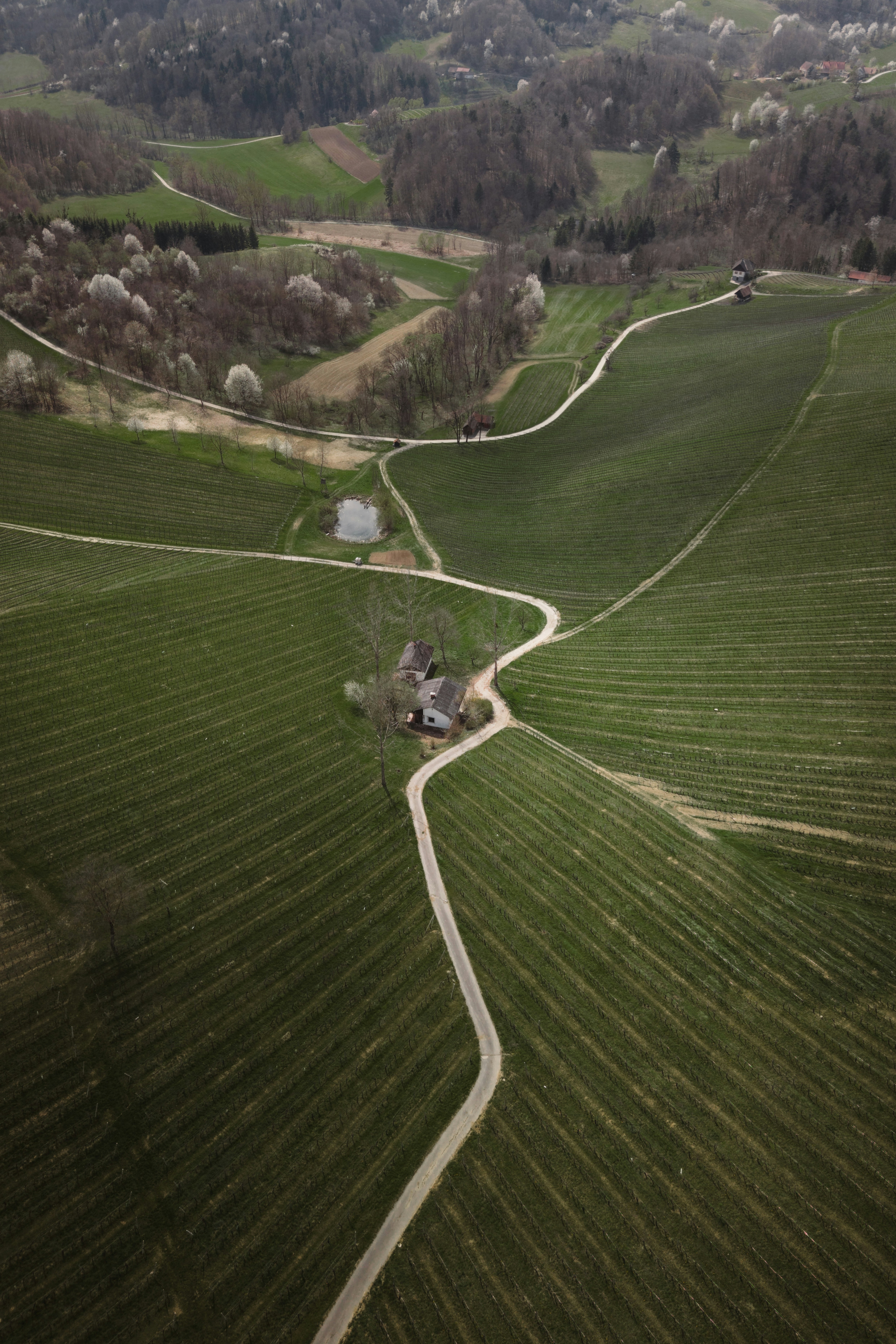 Meandering rural canvas: a valley road stitches fields and houses
